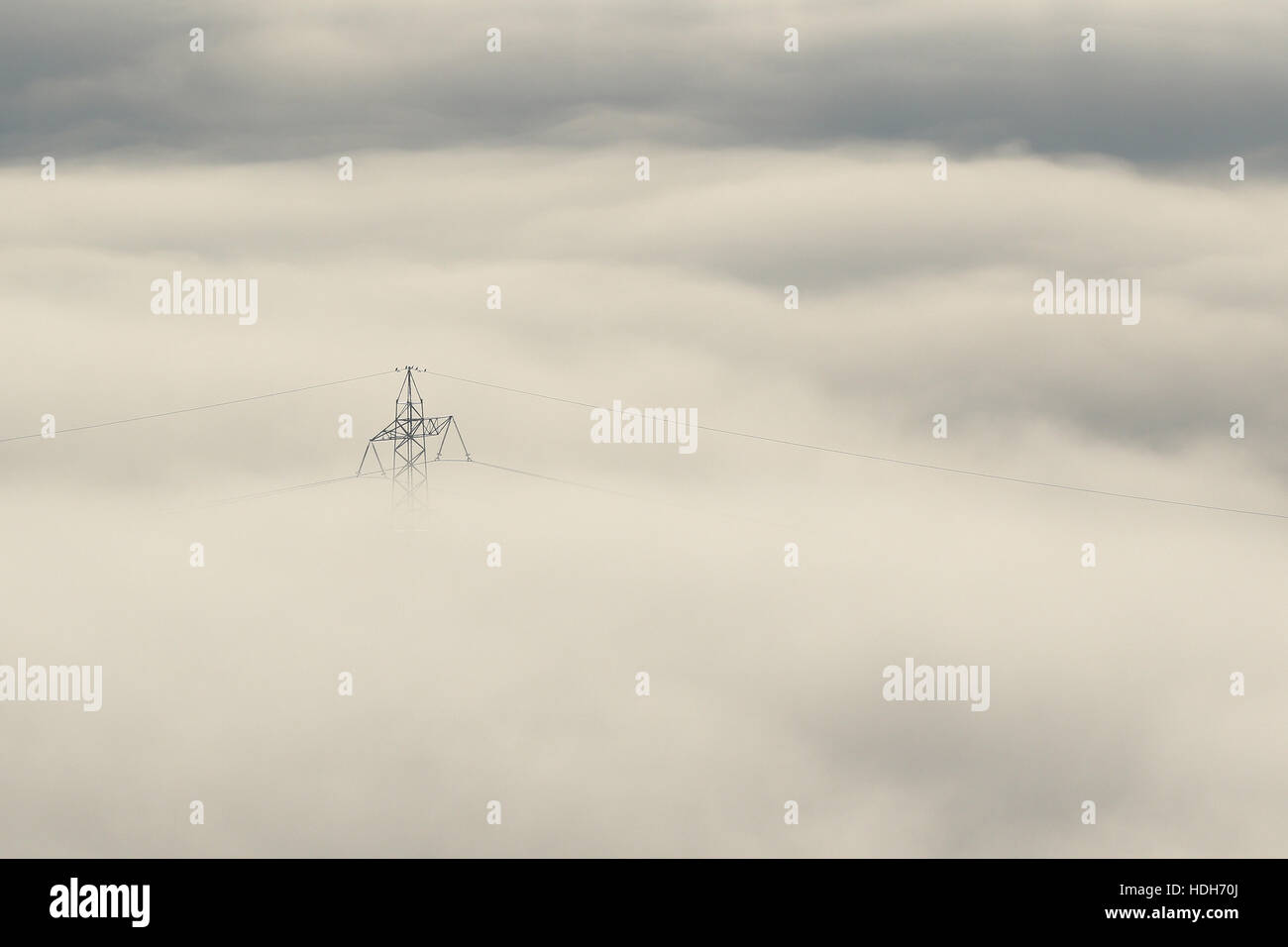Aerial view of power lines and pylons peeking out of winter fog Stock ...