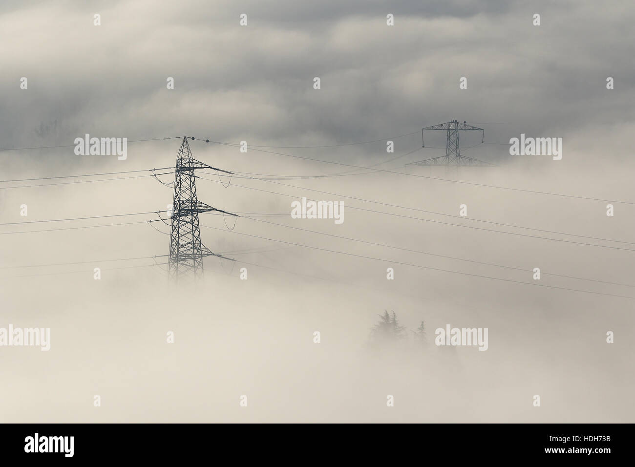 Aerial view of power lines and pylons and fir trees peeking out of ...