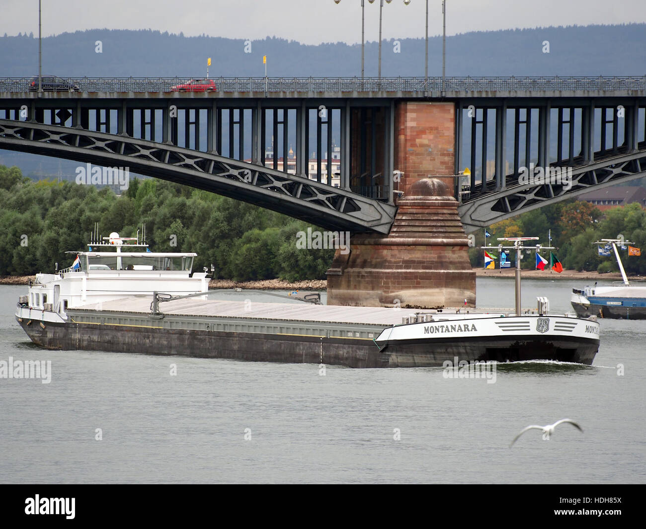 The 'Montanara,' a modern ship built in 2008, is seen navigating the ...