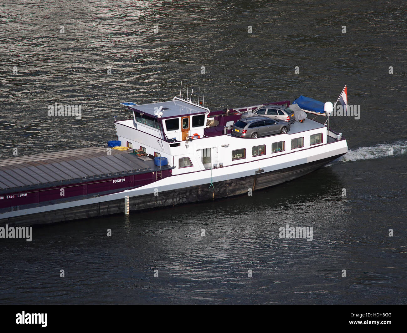 Ferox hi-res stock photography and images - Alamy