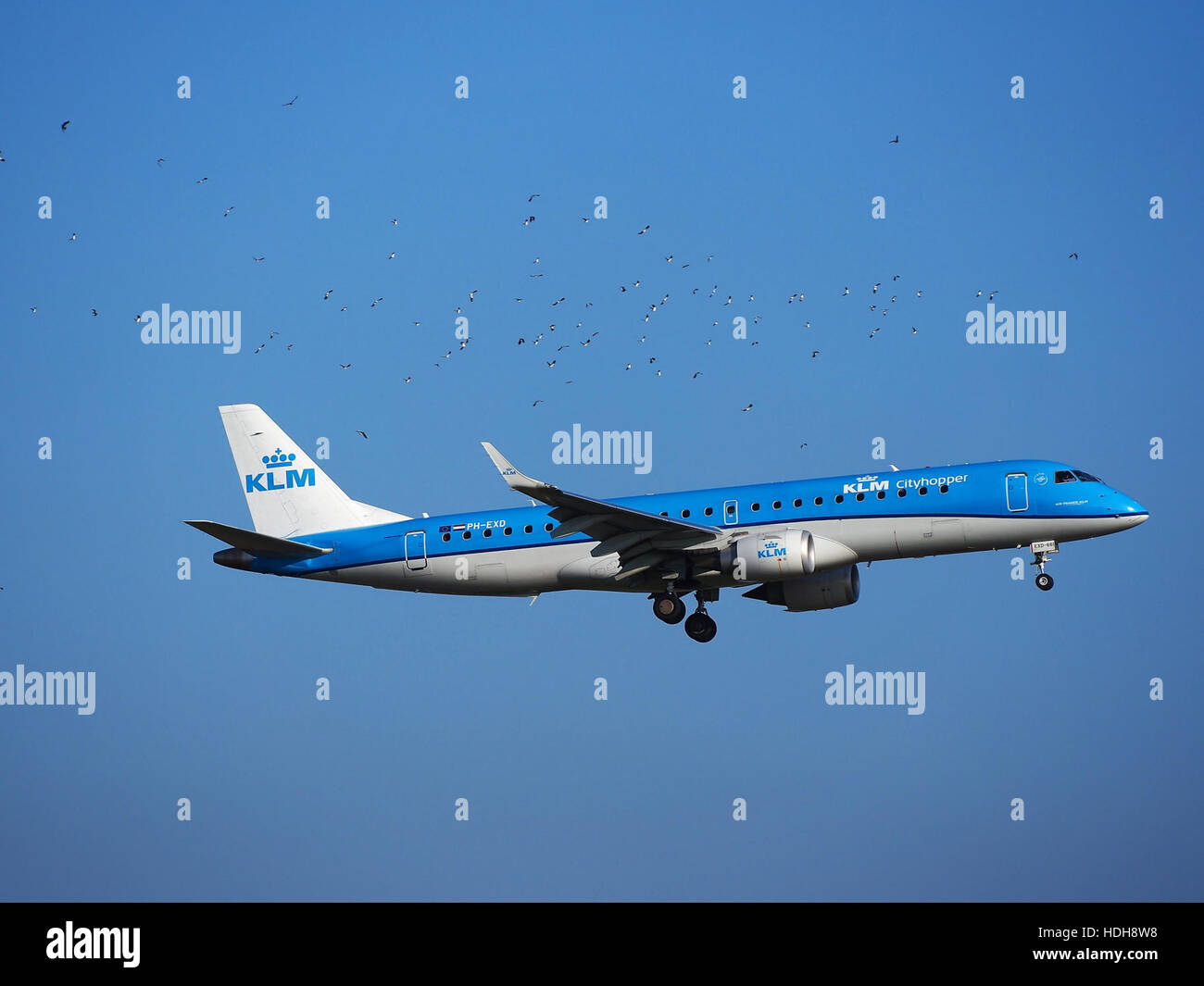A photograph of an aircraft soaring through the sky, cruising at high ...