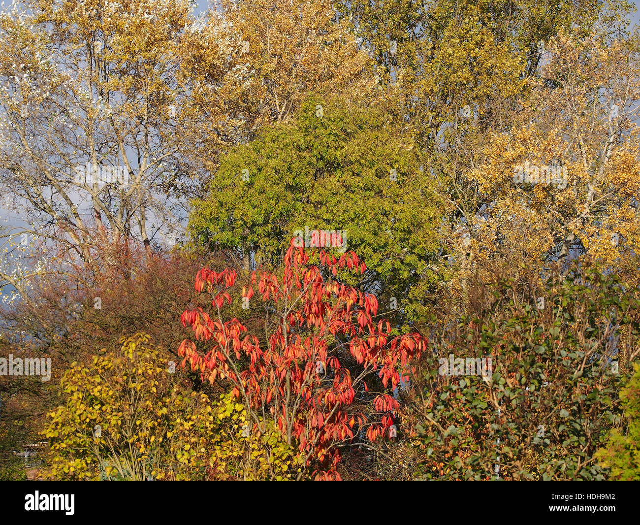 Hoofddorp hi-res stock photography and images - Alamy