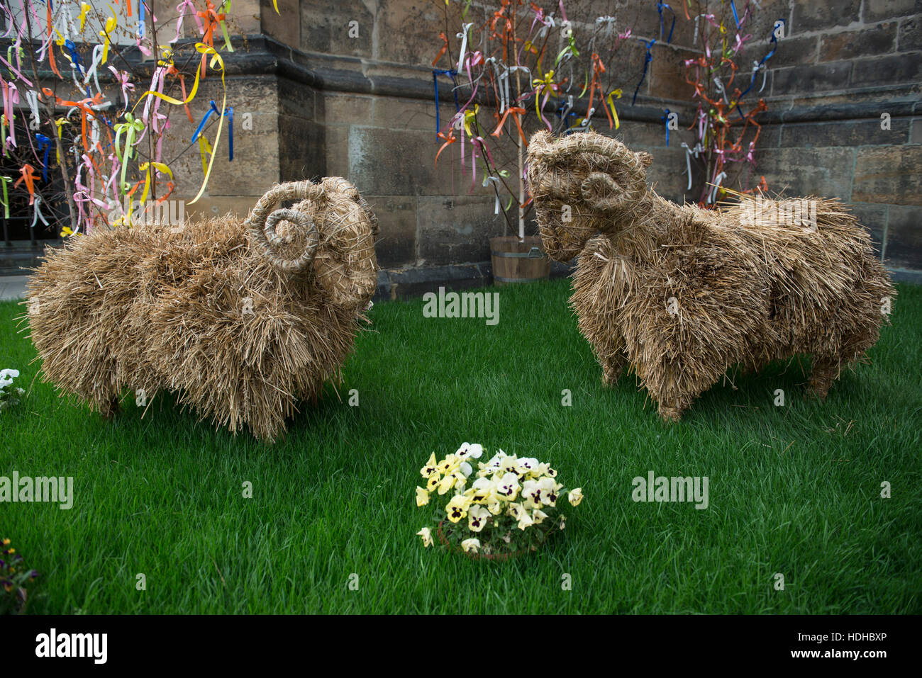 Wall to wall sheep hi-res stock photography and images - Alamy