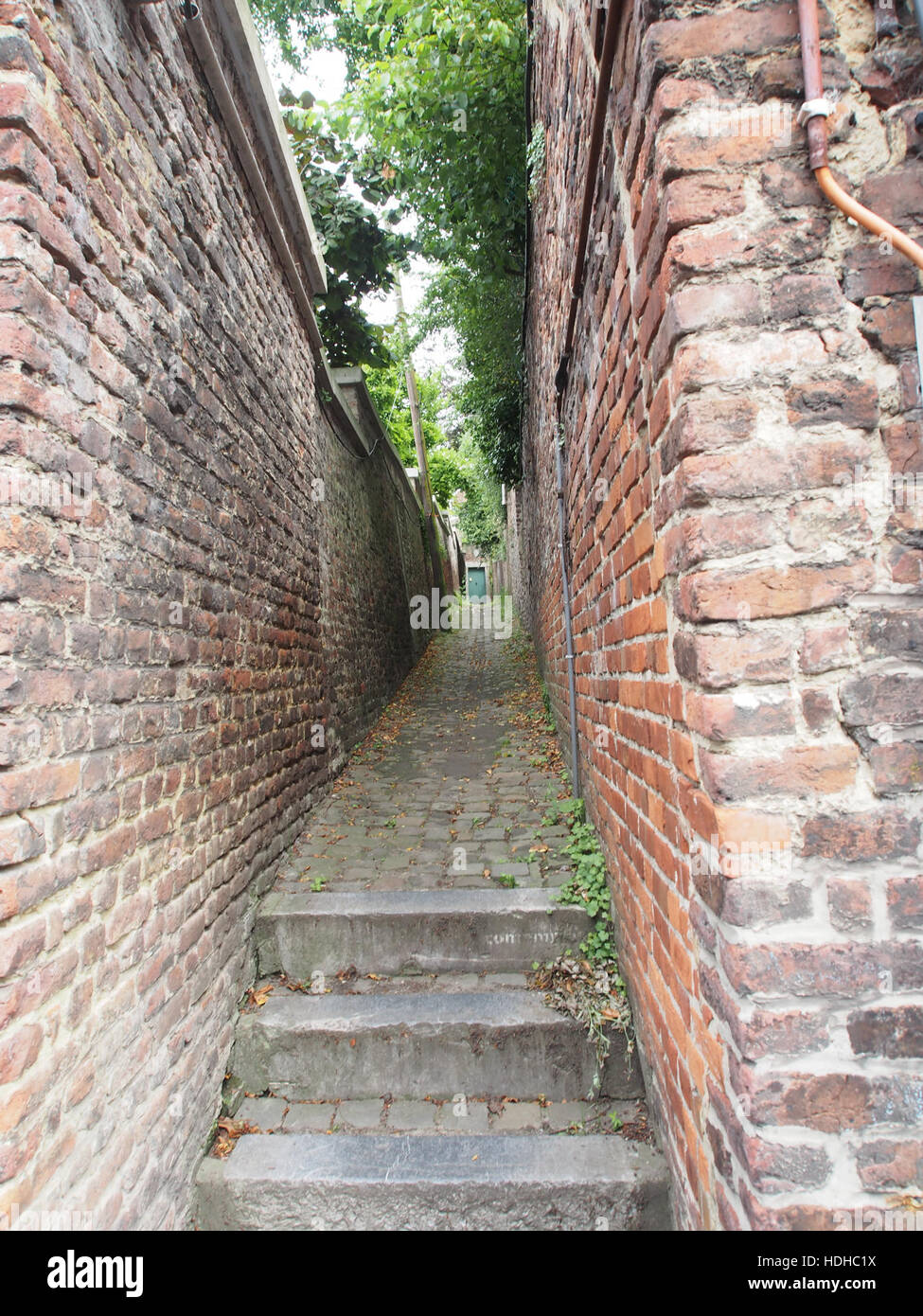 Work art complex abstract hi-res stock photography and images - Alamy