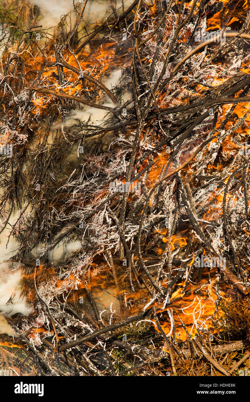 High forest fire risk hi-res stock photography and images - Alamy