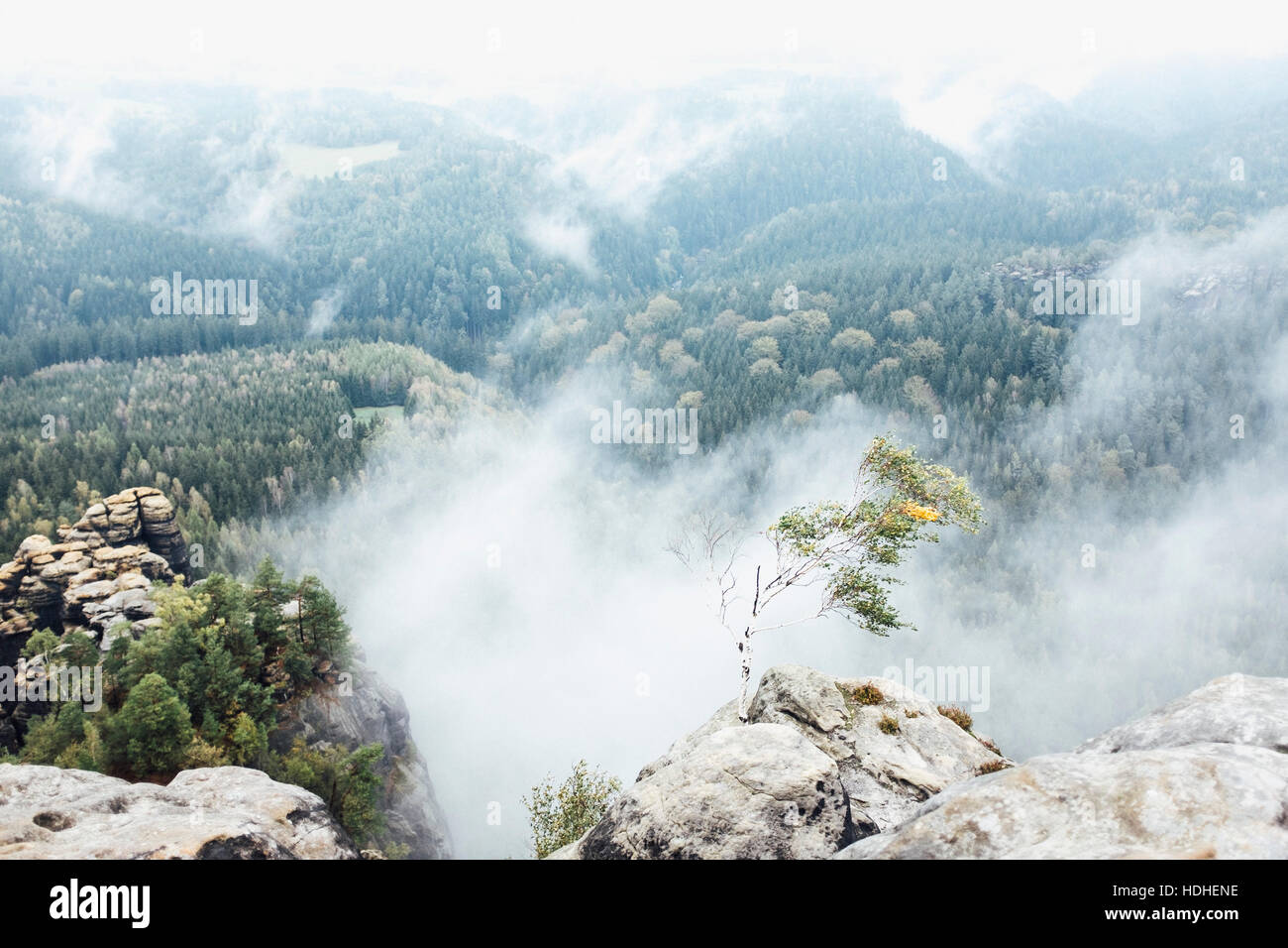 Scenic view of mountains in foggy weather, Saxon Switzerland National ...
