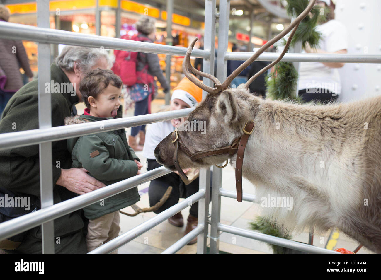 EDITORIAL USE ONLY Bubble the Rendeer meets Ian Stokes and grandson ...