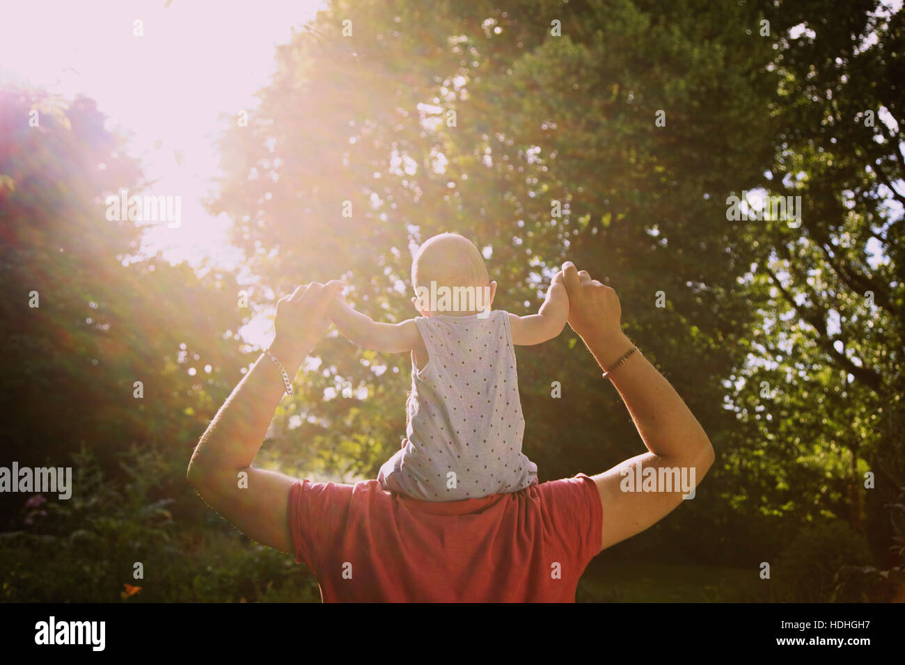 Rear view of father carrying baby boy on shoulders at yard during sunny day Stock Photo - Alamy