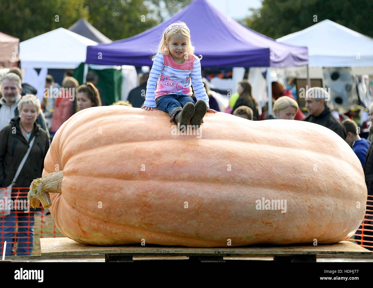 World record pumpkin hi-res stock photography and images - Alamy
