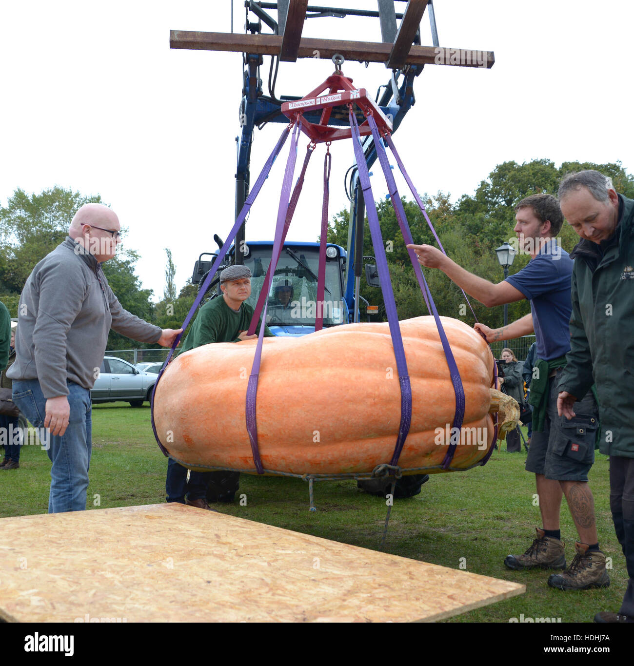 World record pumpkin hi-res stock photography and images - Alamy