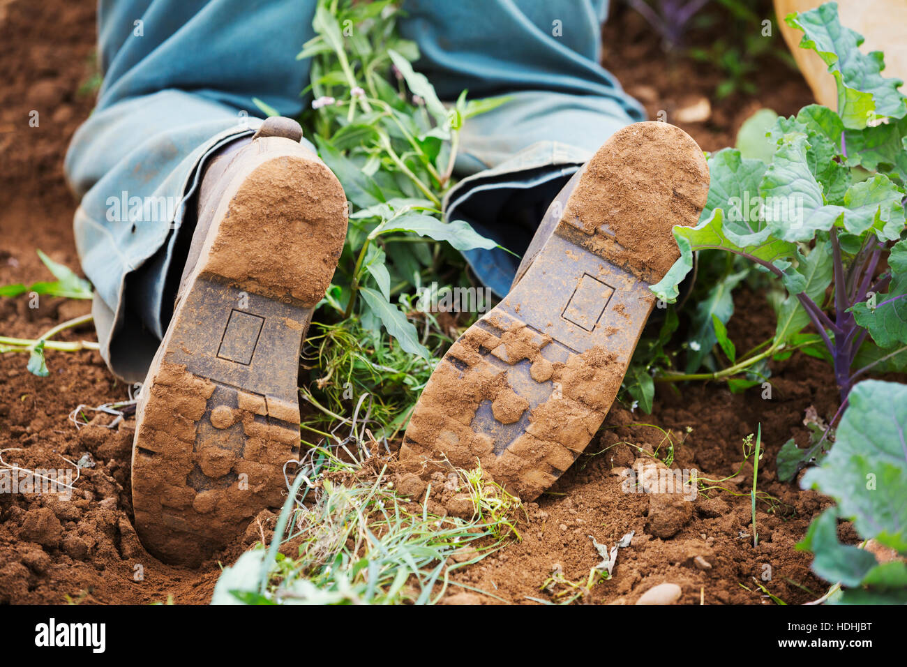 Man in rubber boots hi-res stock photography and images - Alamy