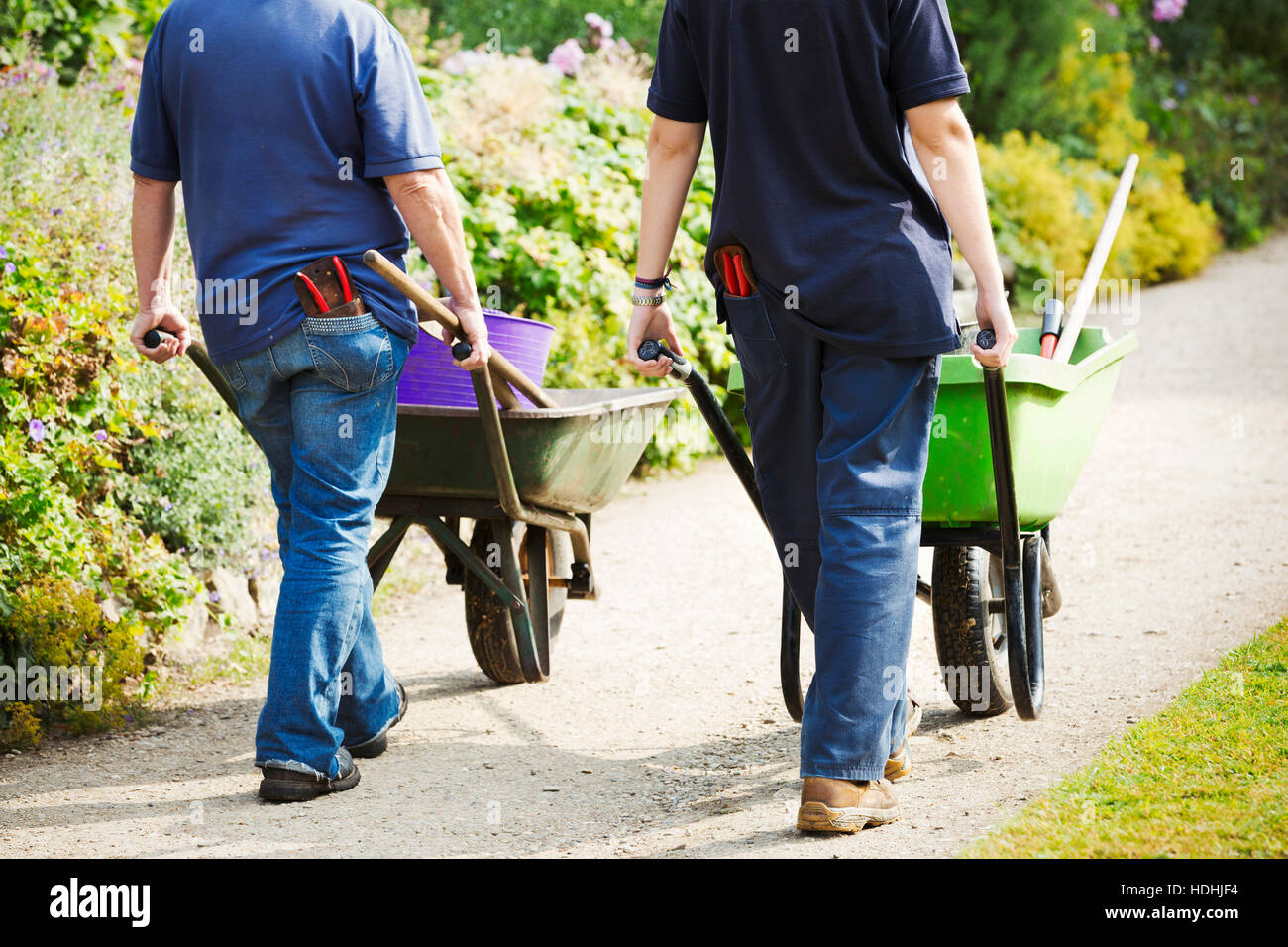 Women pushing wheelbarrows hi-res stock photography and images - Alamy