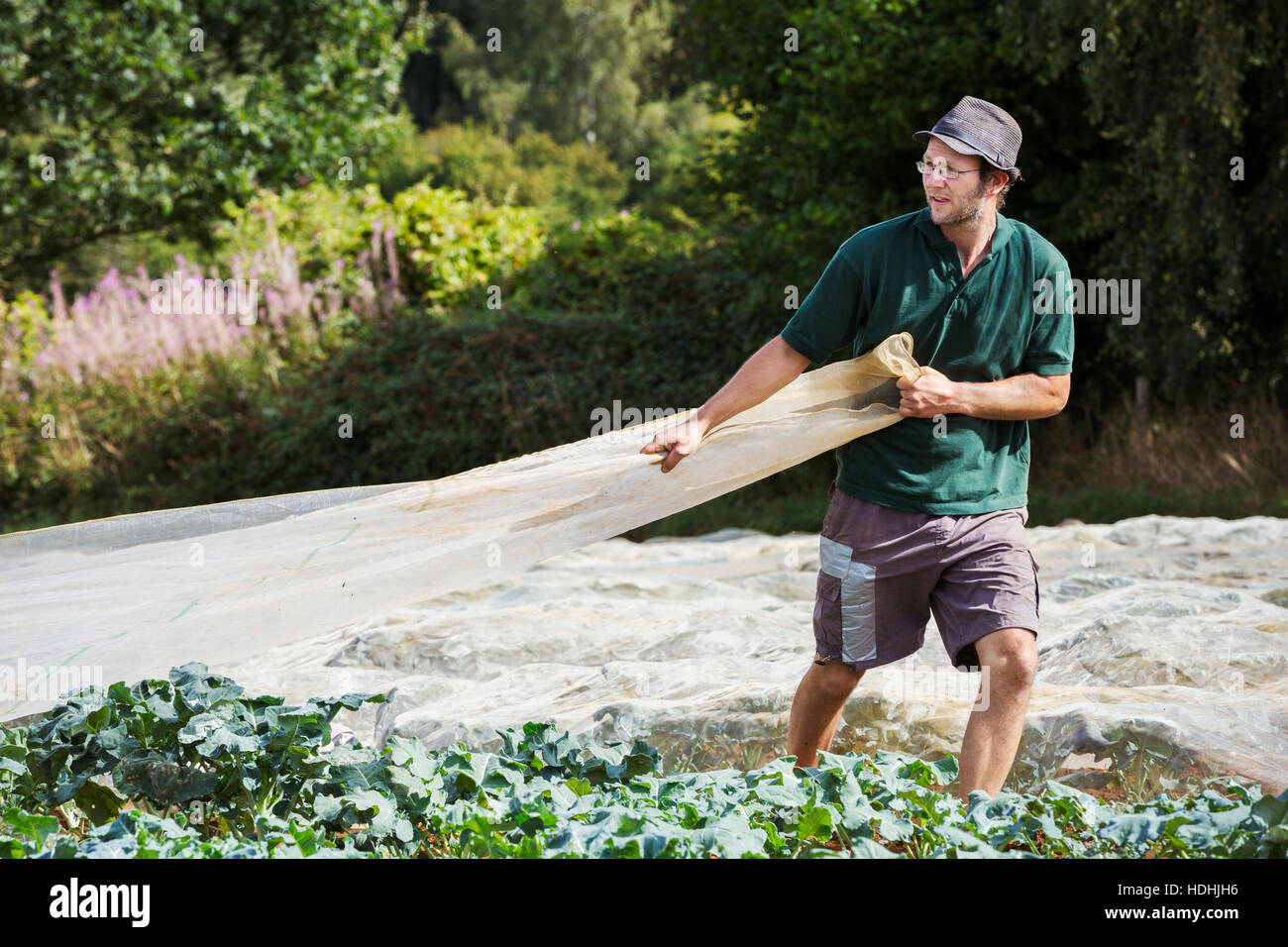 Pulling sheet hi-res stock photography and images - Alamy