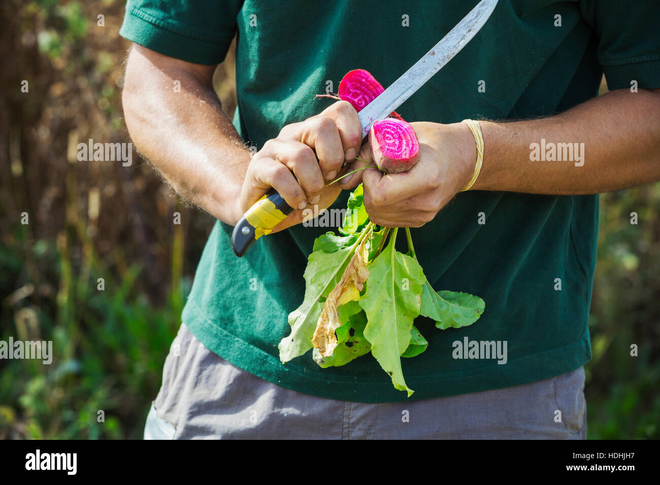 Knife part hi-res stock photography and images - Alamy