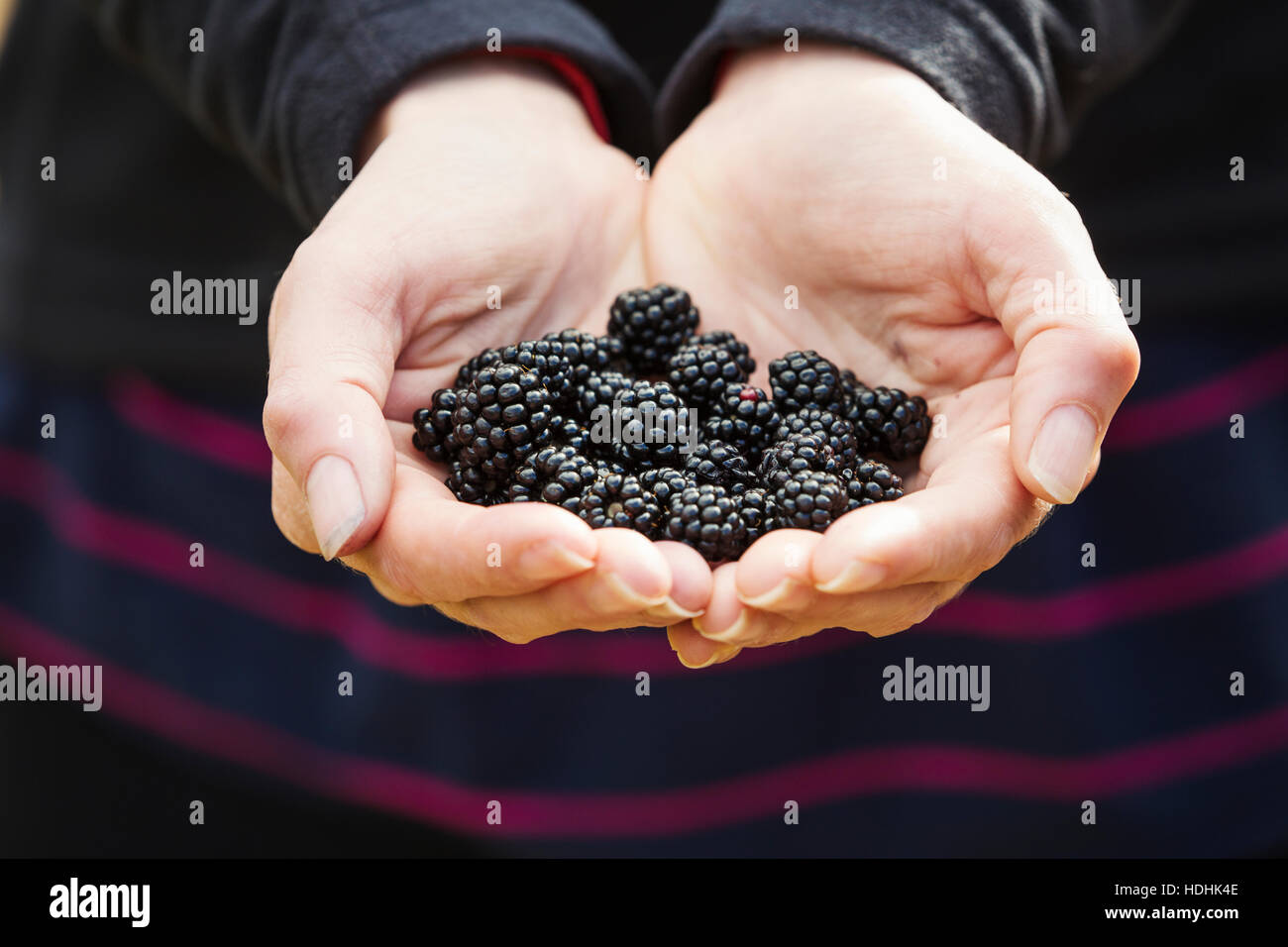 Handful of fresh fruit hi-res stock photography and images - Alamy