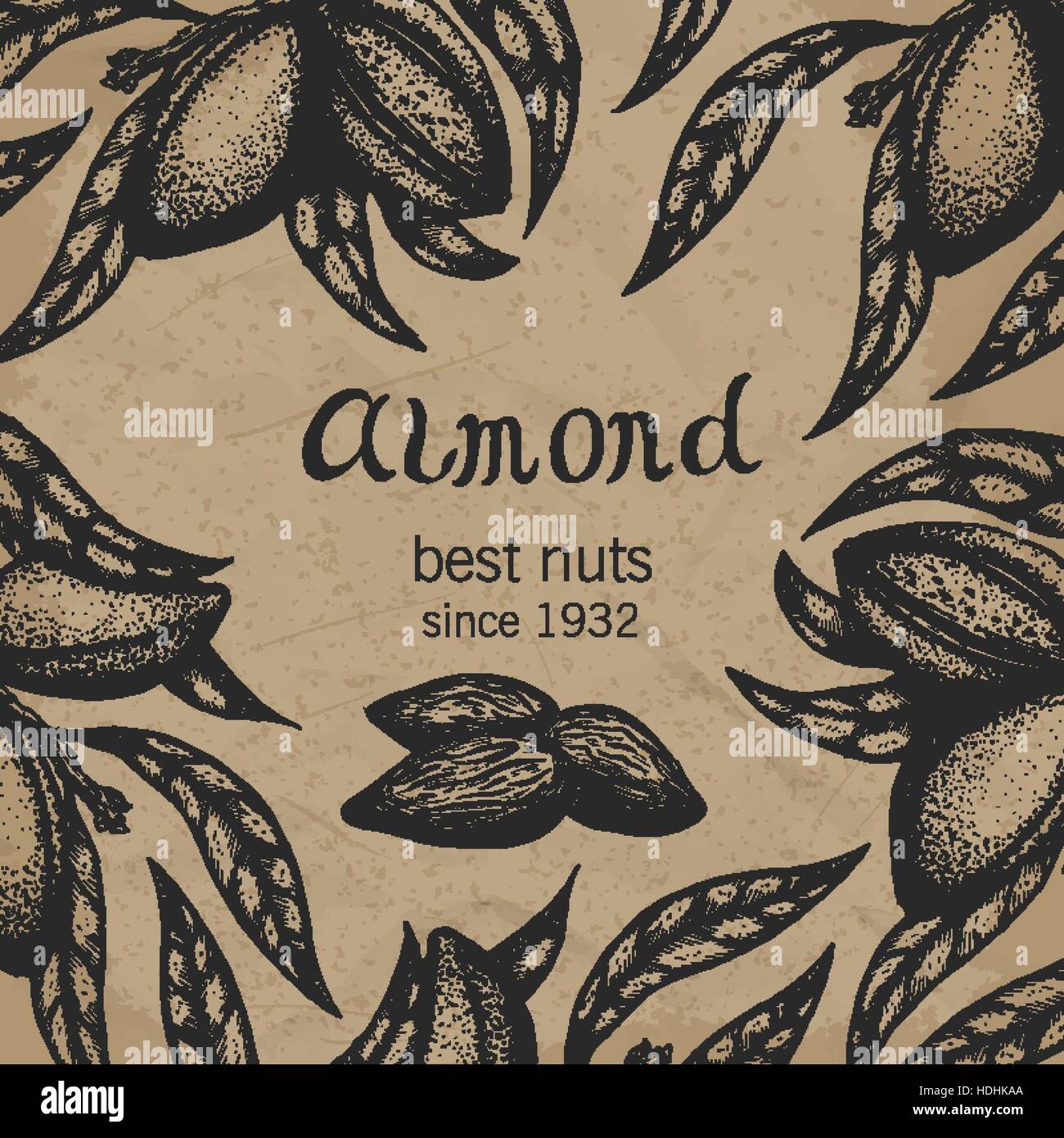 Almond tree design template. Almond branch hand drawn almond fruit ...