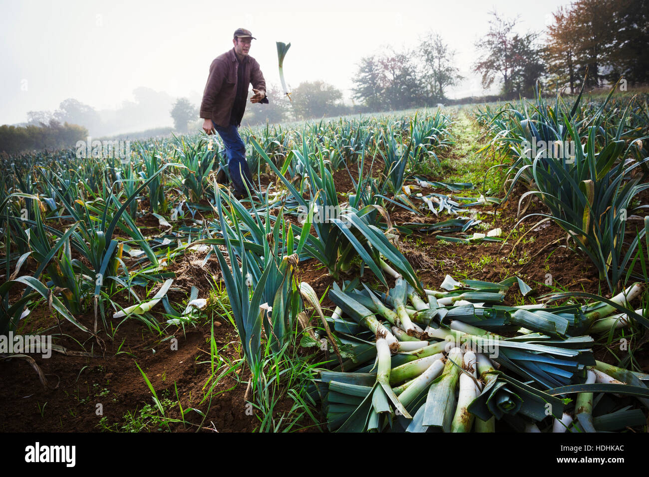 Man throwing food hi-res stock photography and images - Alamy