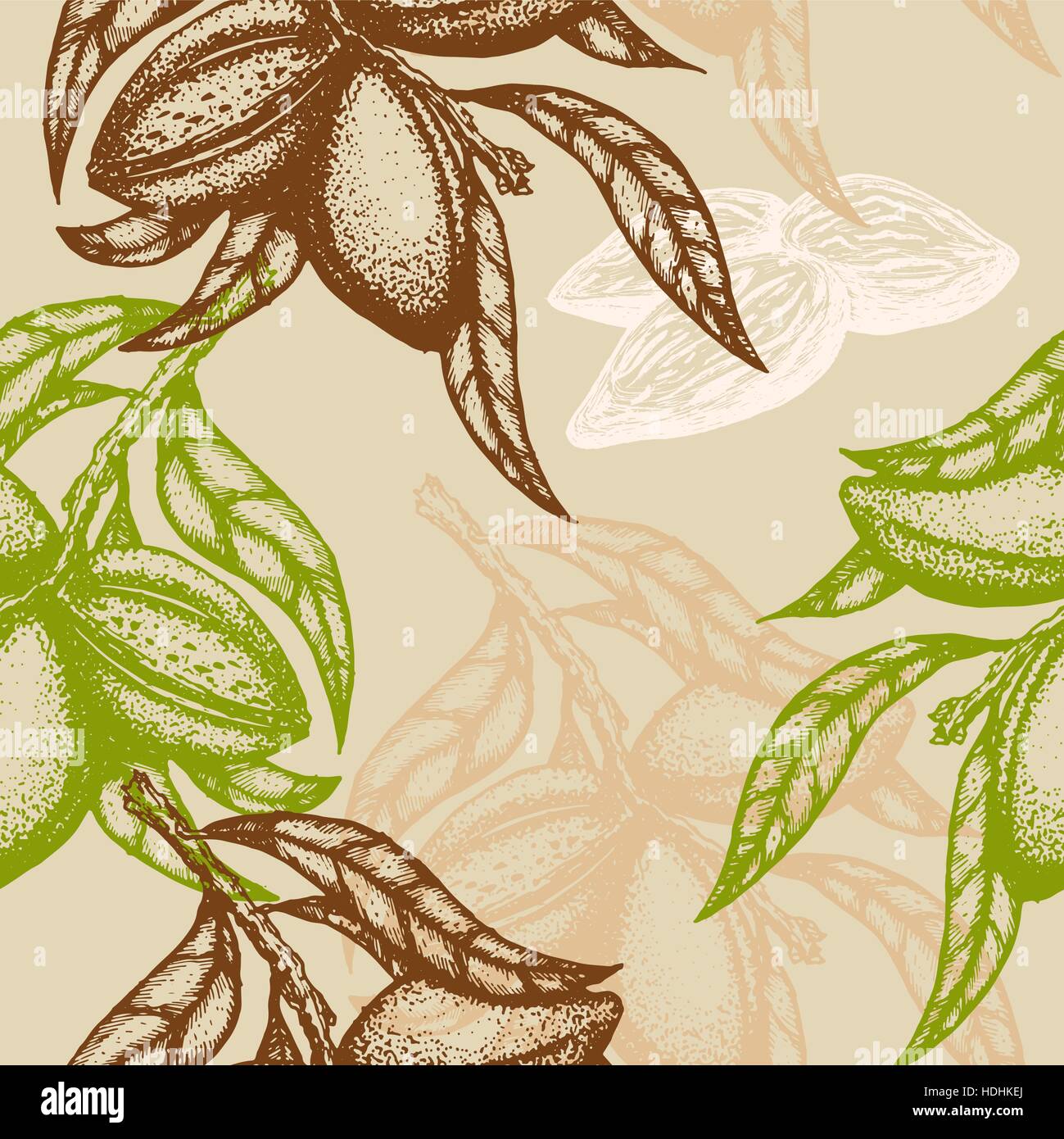 Hand drawn Almond Seamless pattern. Branch of almonds. Vector ...