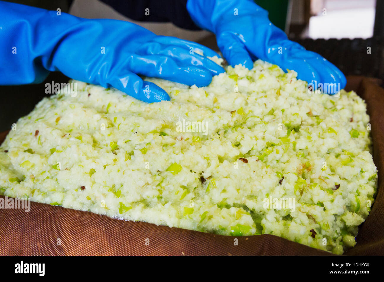 A man preparing the juicy crushed apple pulp, smoothing it before the ...