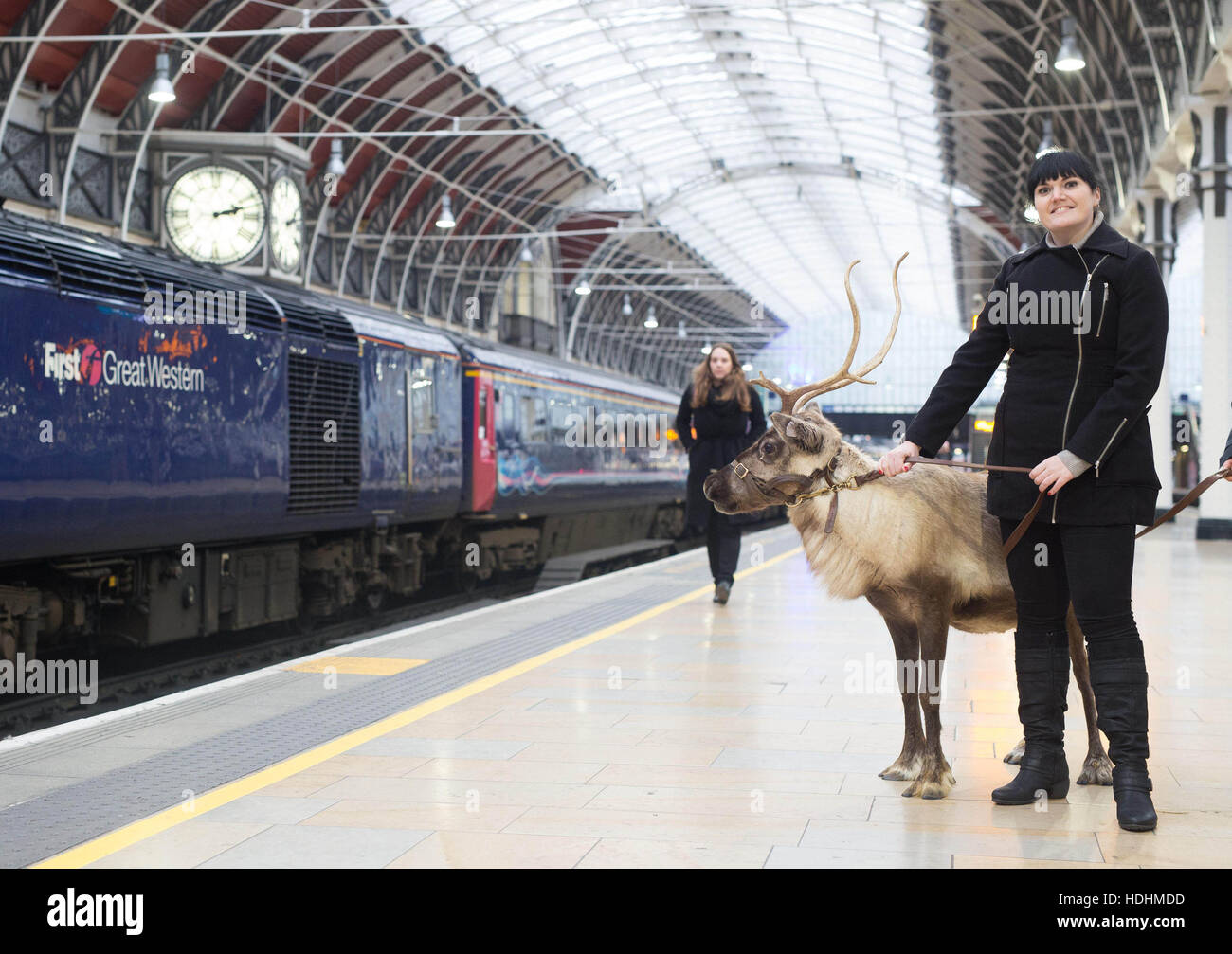 EDITORIAL USE ONLY Bubble the reindeer with handler meets commuters at ...