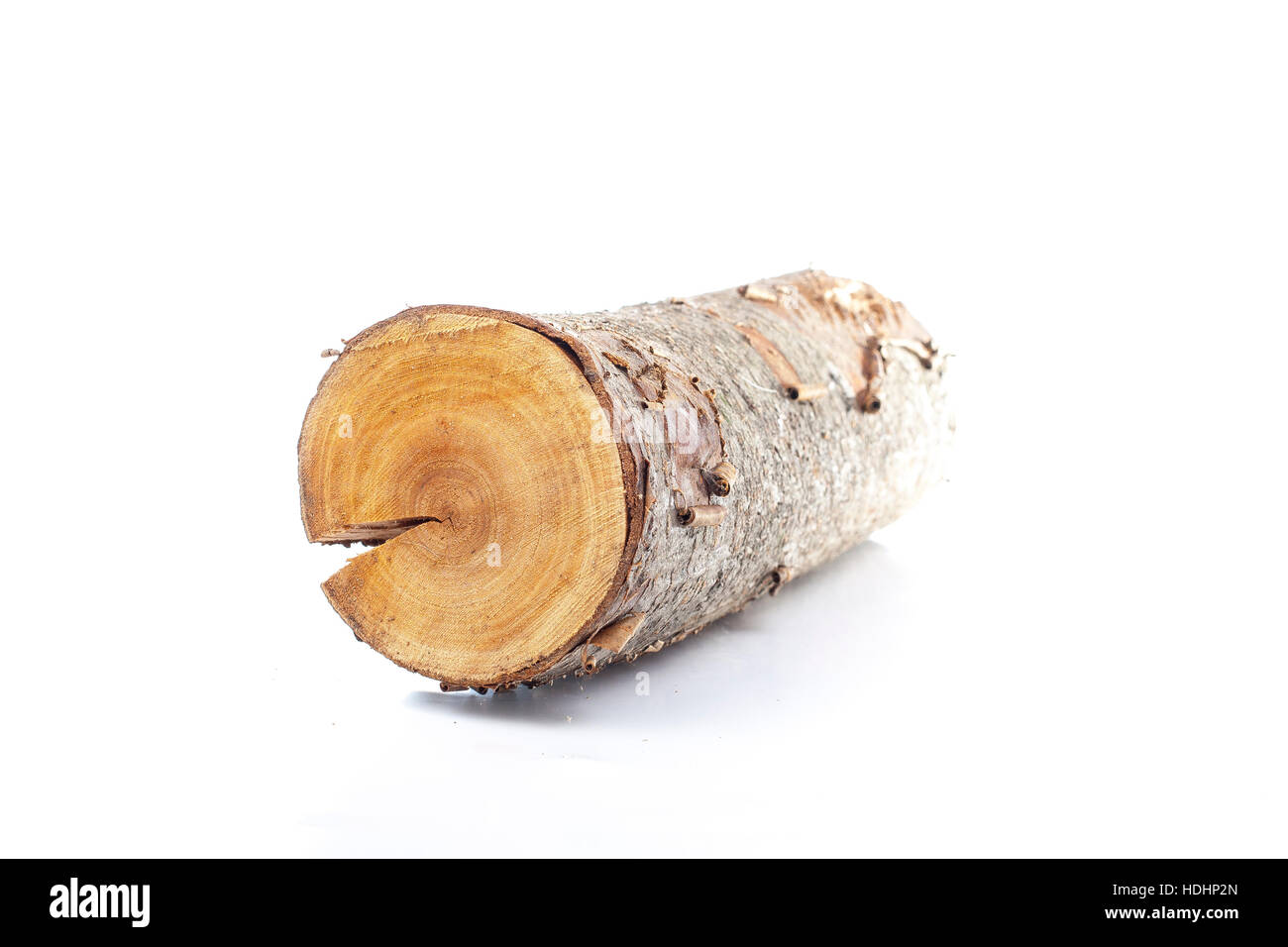 Oak Wood Log Studio High Resolution Stock Photography and Images - Alamy