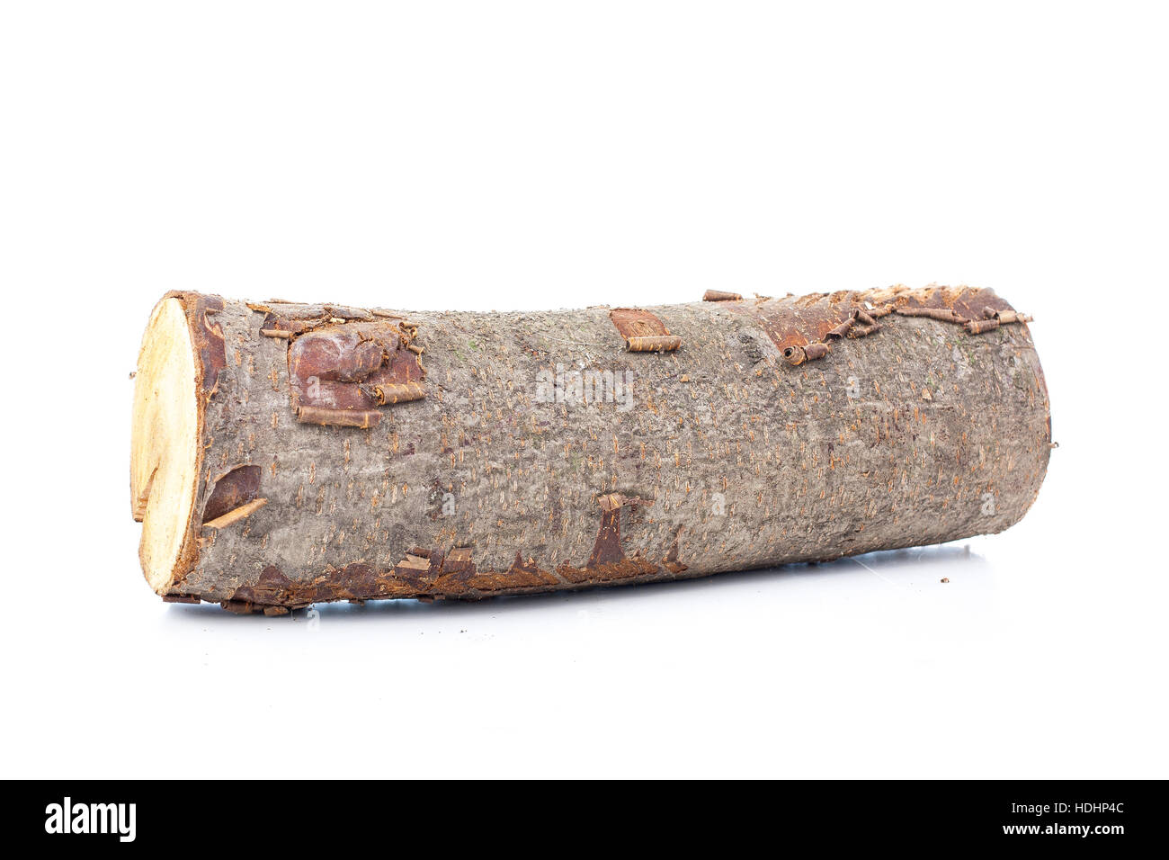 Pine logs on white background. Studio photo. Split wood. Oak tree for ...
