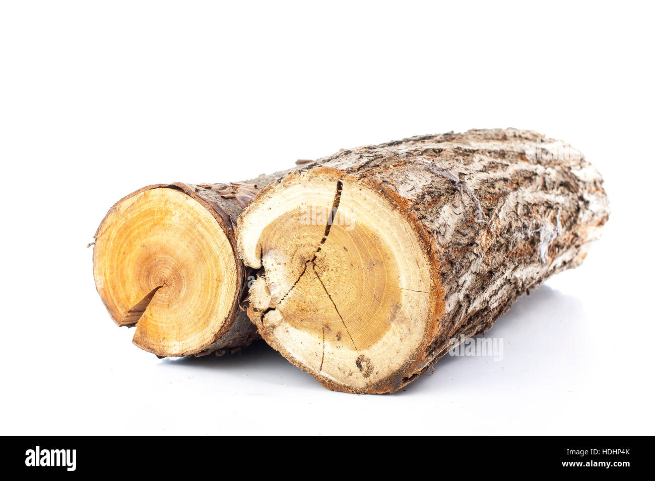 Tree Cross Section White Oak High Resolution Stock Photography and ...