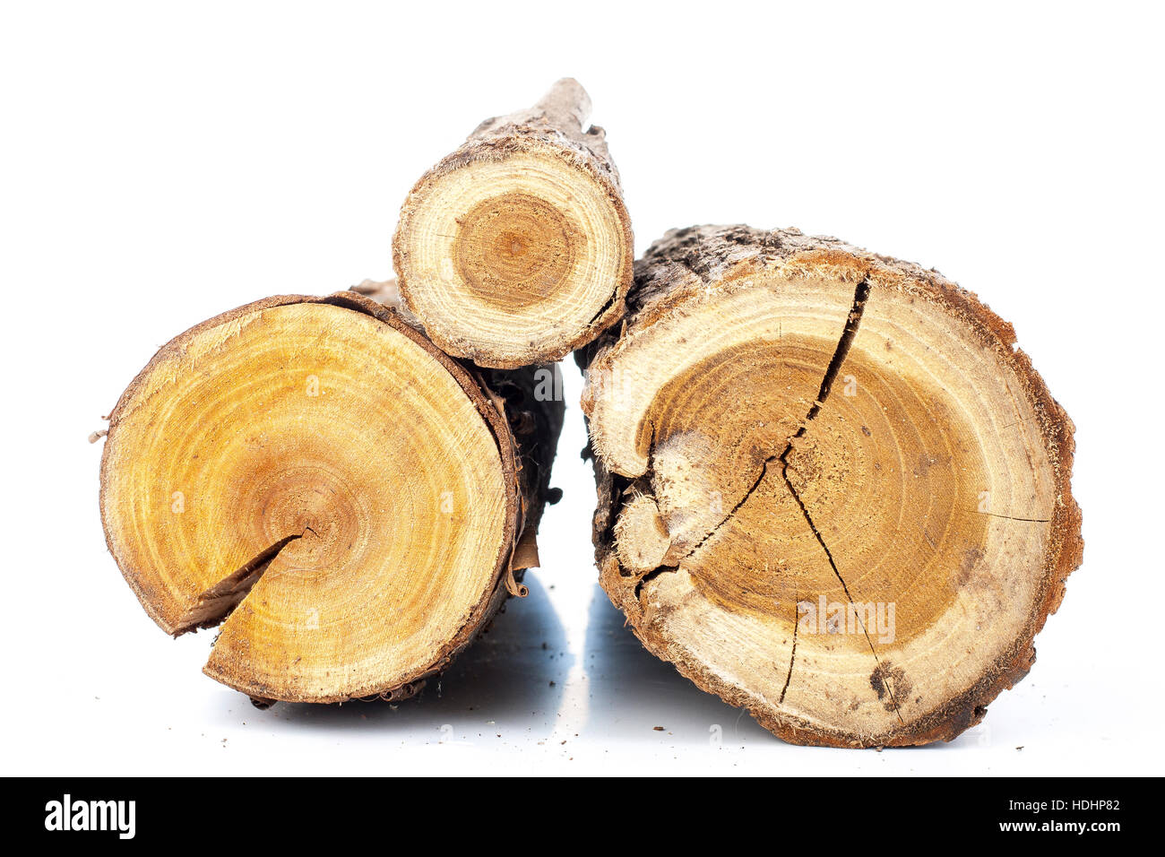 Pine logs on white background. Studio photo. Split wood. Oak tree for ...