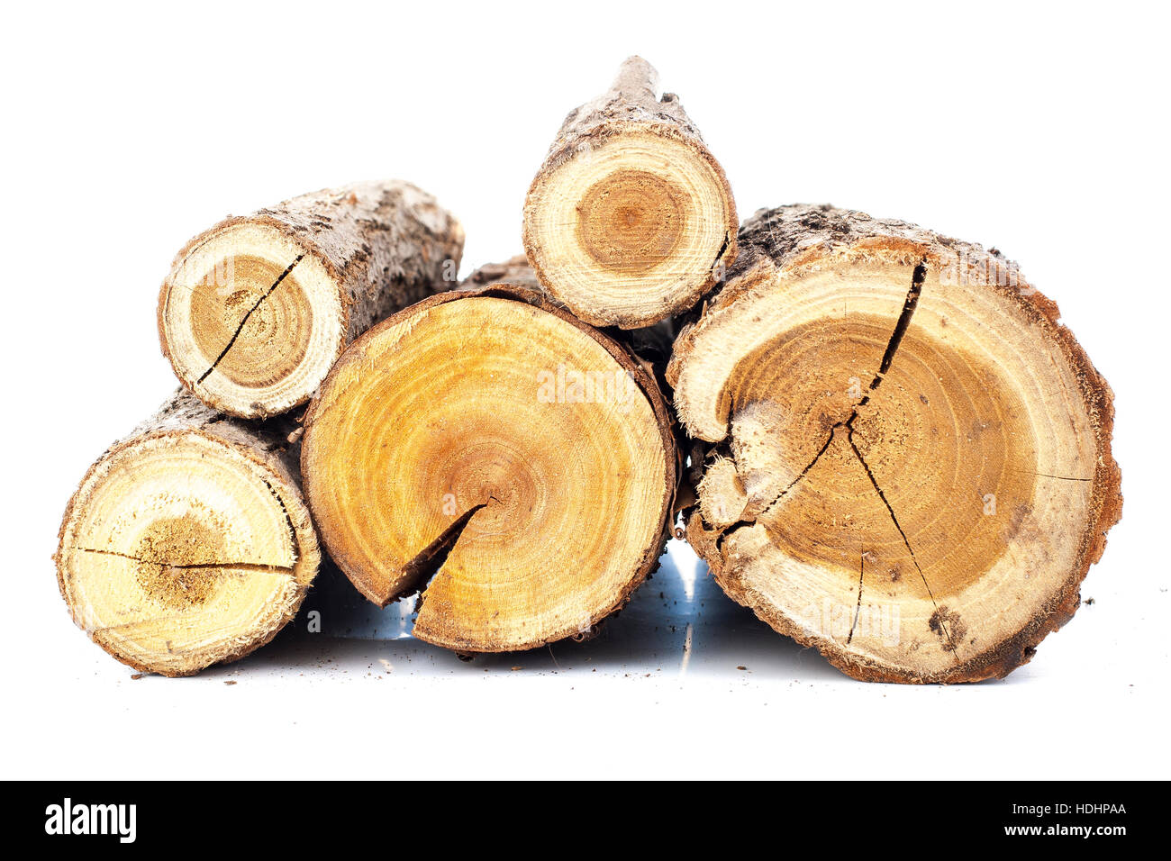 Pine logs on white background. Studio photo. Split wood. Oak tree for ...