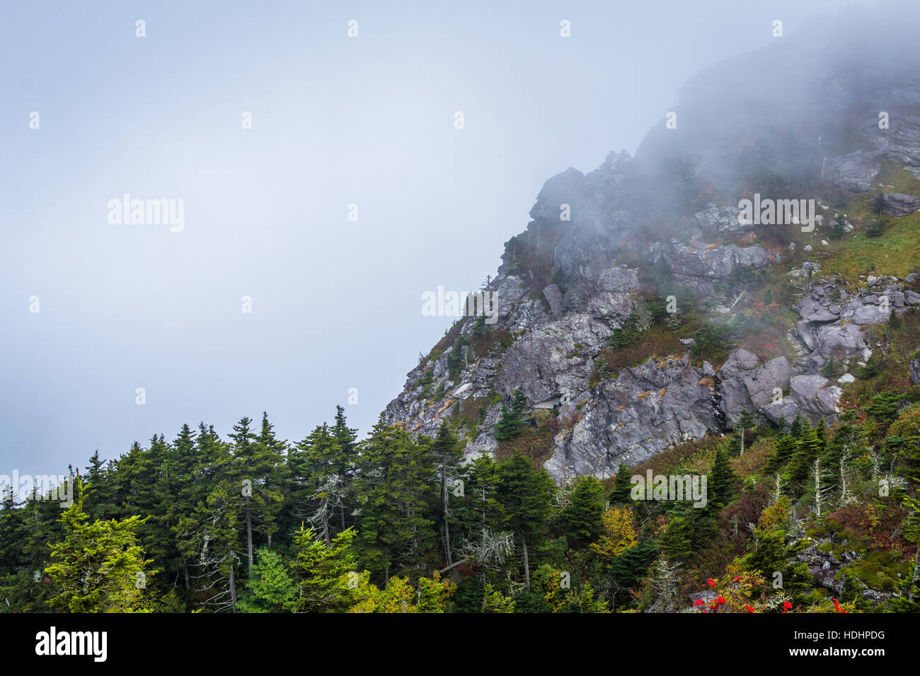 Trees rocky slopes in hi-res stock photography and images - Alamy