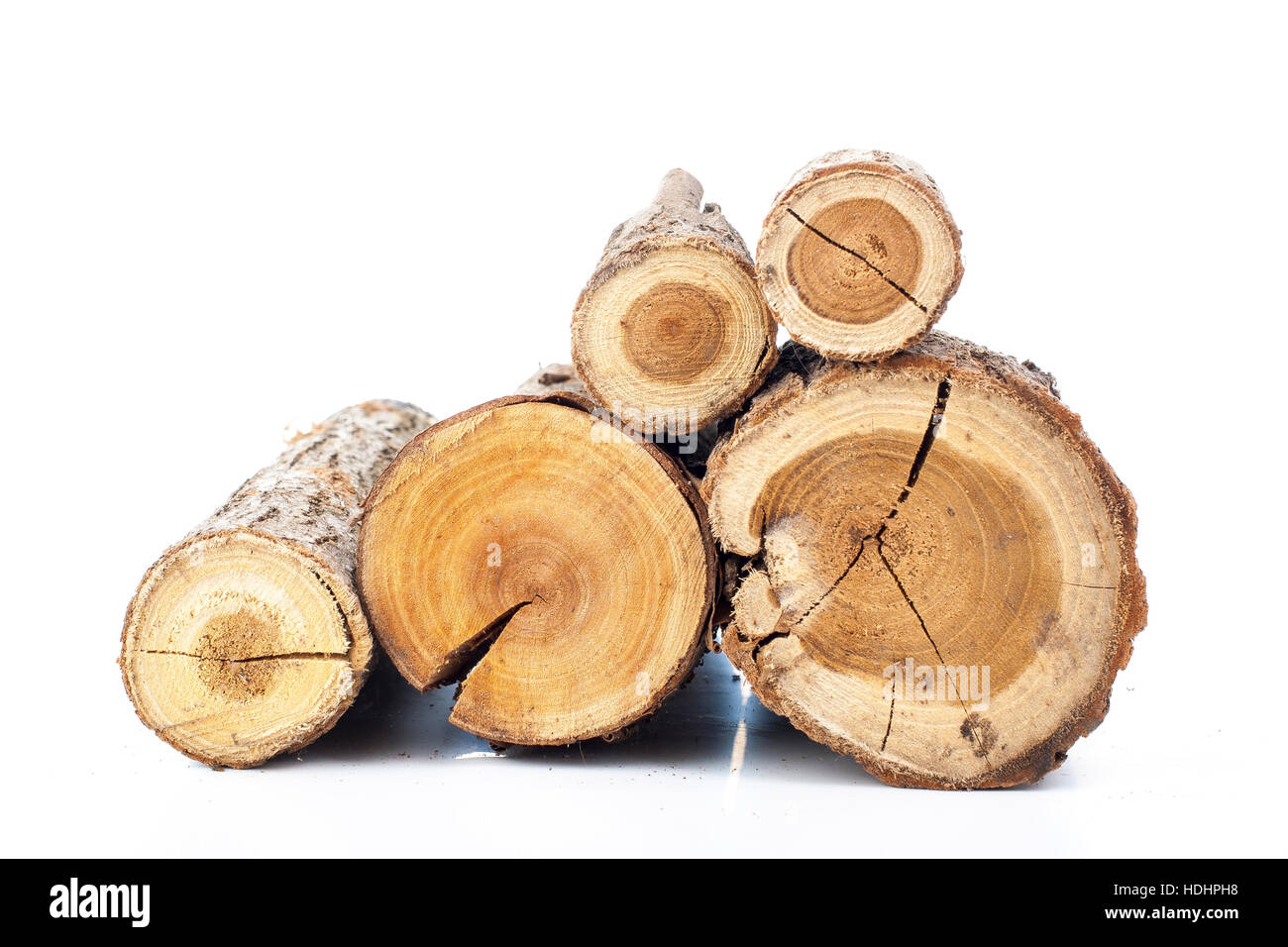 Pine logs on white background. Studio photo. Split wood. Oak tree for ...