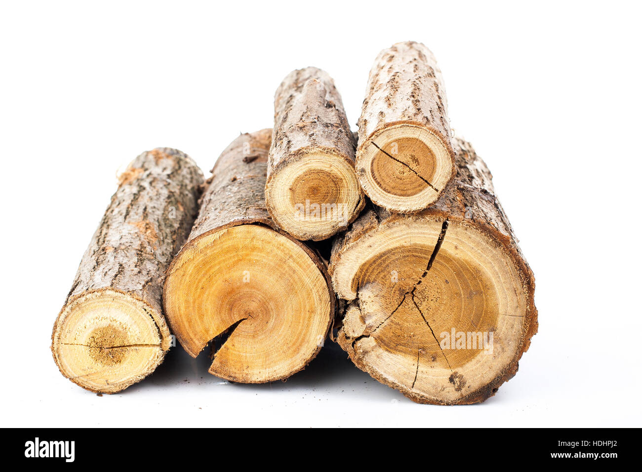 Tree Cross Section White Oak High Resolution Stock Photography and ...