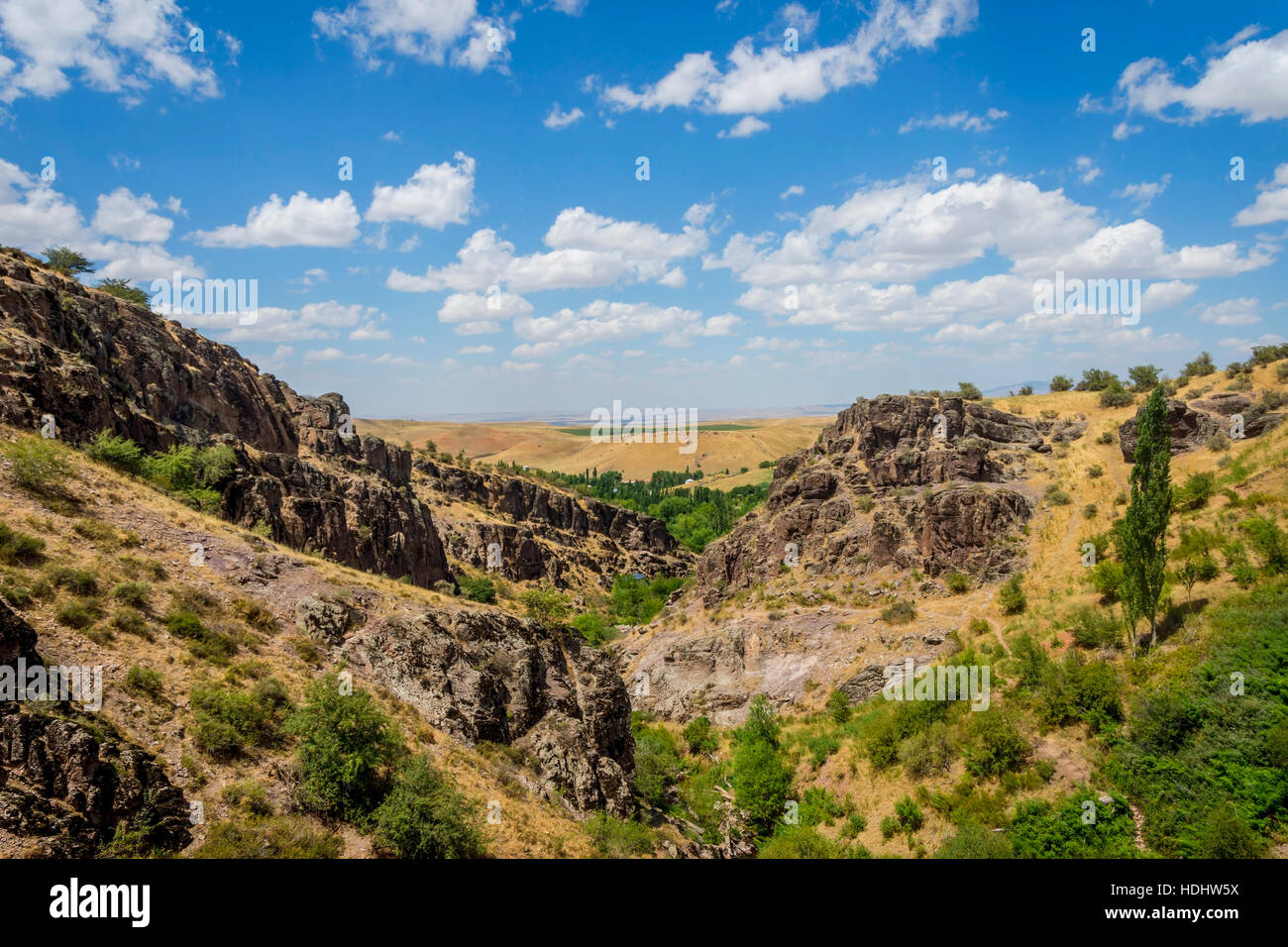 Turbat canyon and steppe, Kazakhstan Stock Photo - Alamy