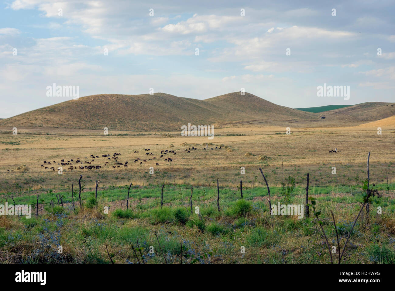 Endless steppe hi-res stock photography and images - Alamy