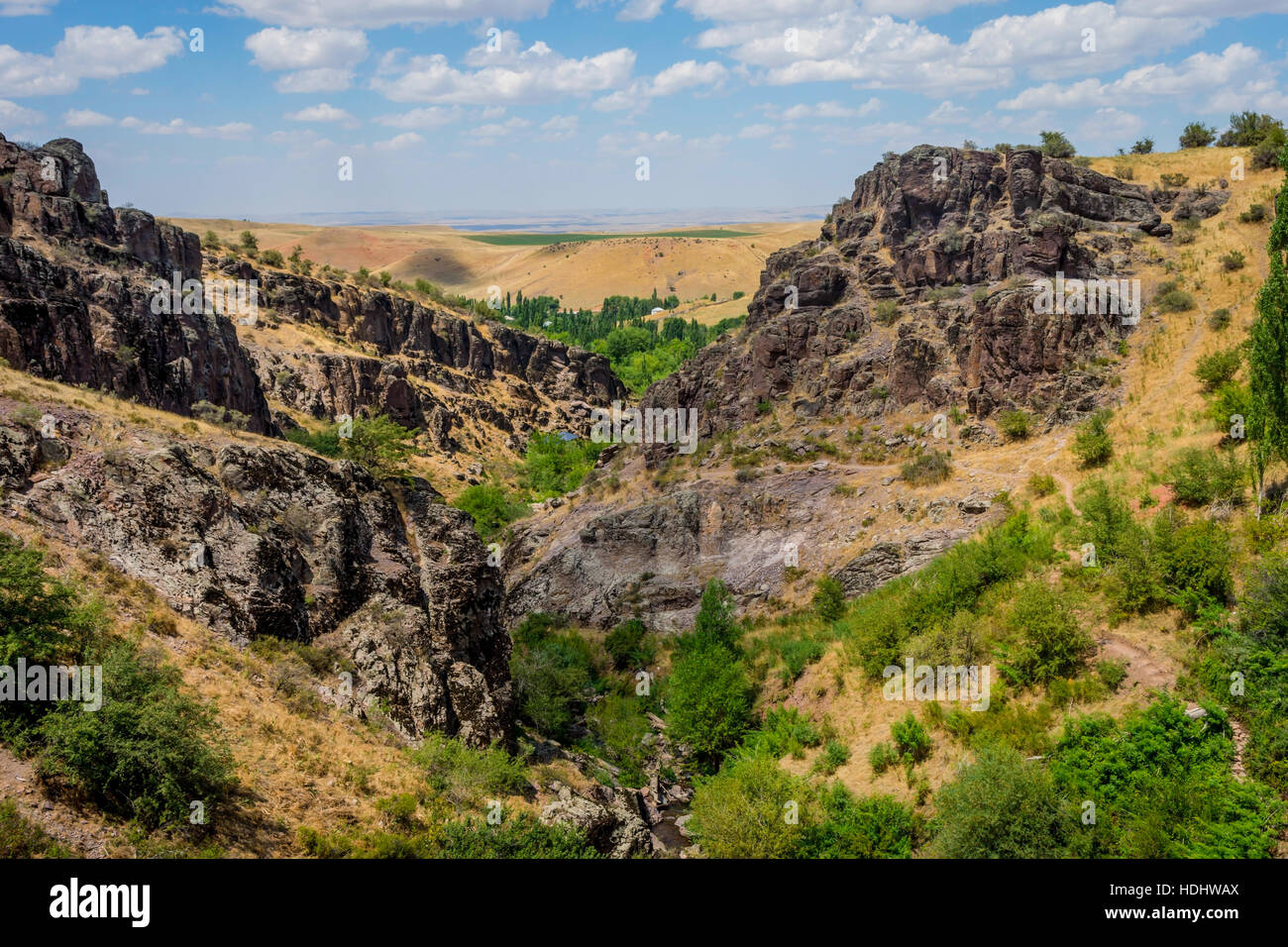 Asian steppe hi-res stock photography and images - Alamy