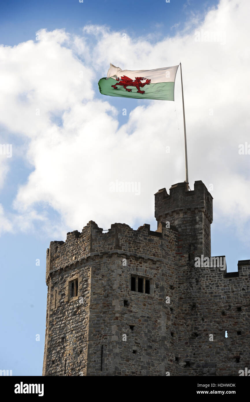The Welsh flag flying over Cardiff Castle, UK Stock Photo - Alamy