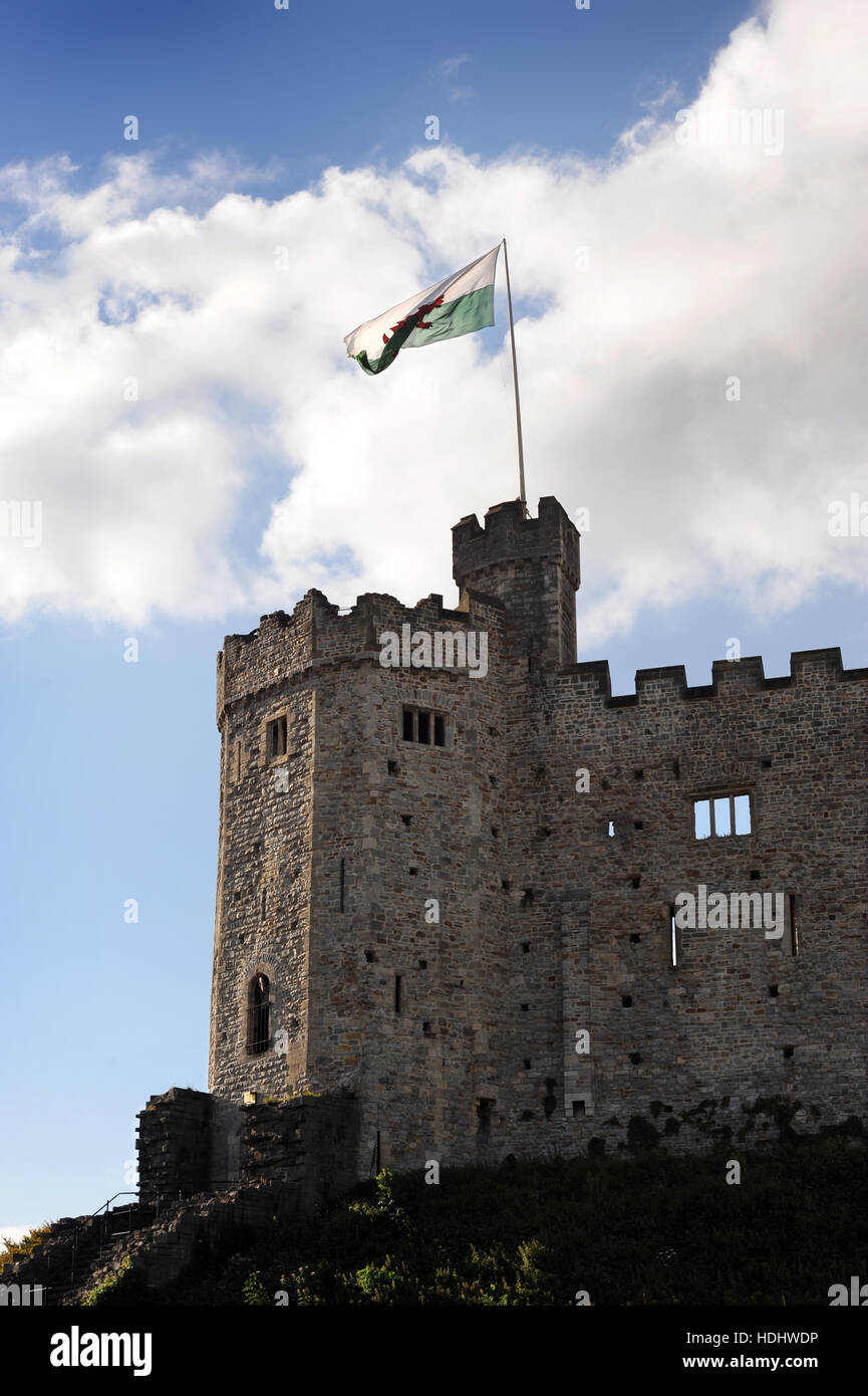 Cardiff wales flag hi-res stock photography and images - Alamy