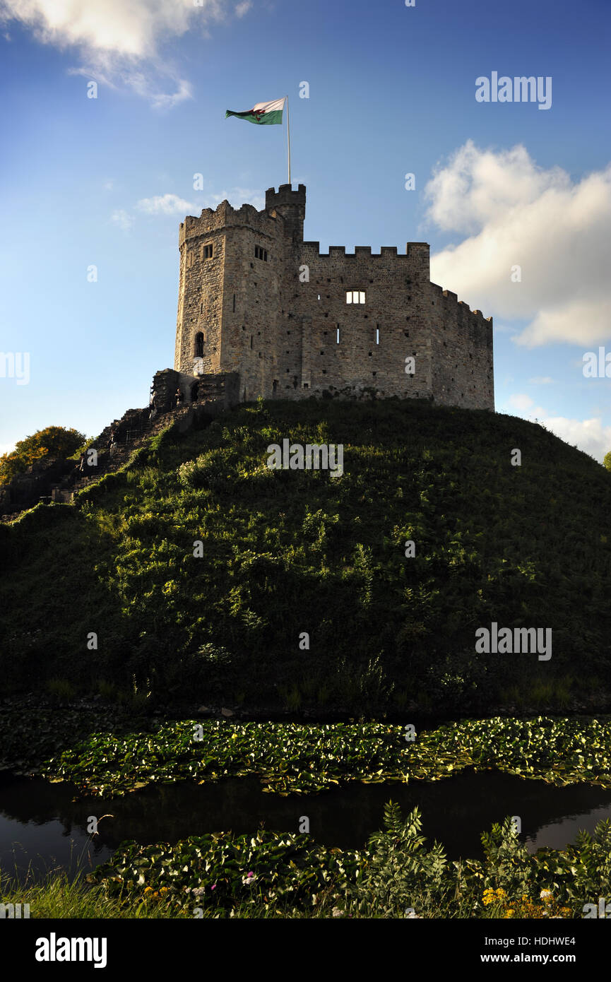 The Welsh flag flying over Cardiff Castle, UK Stock Photo - Alamy