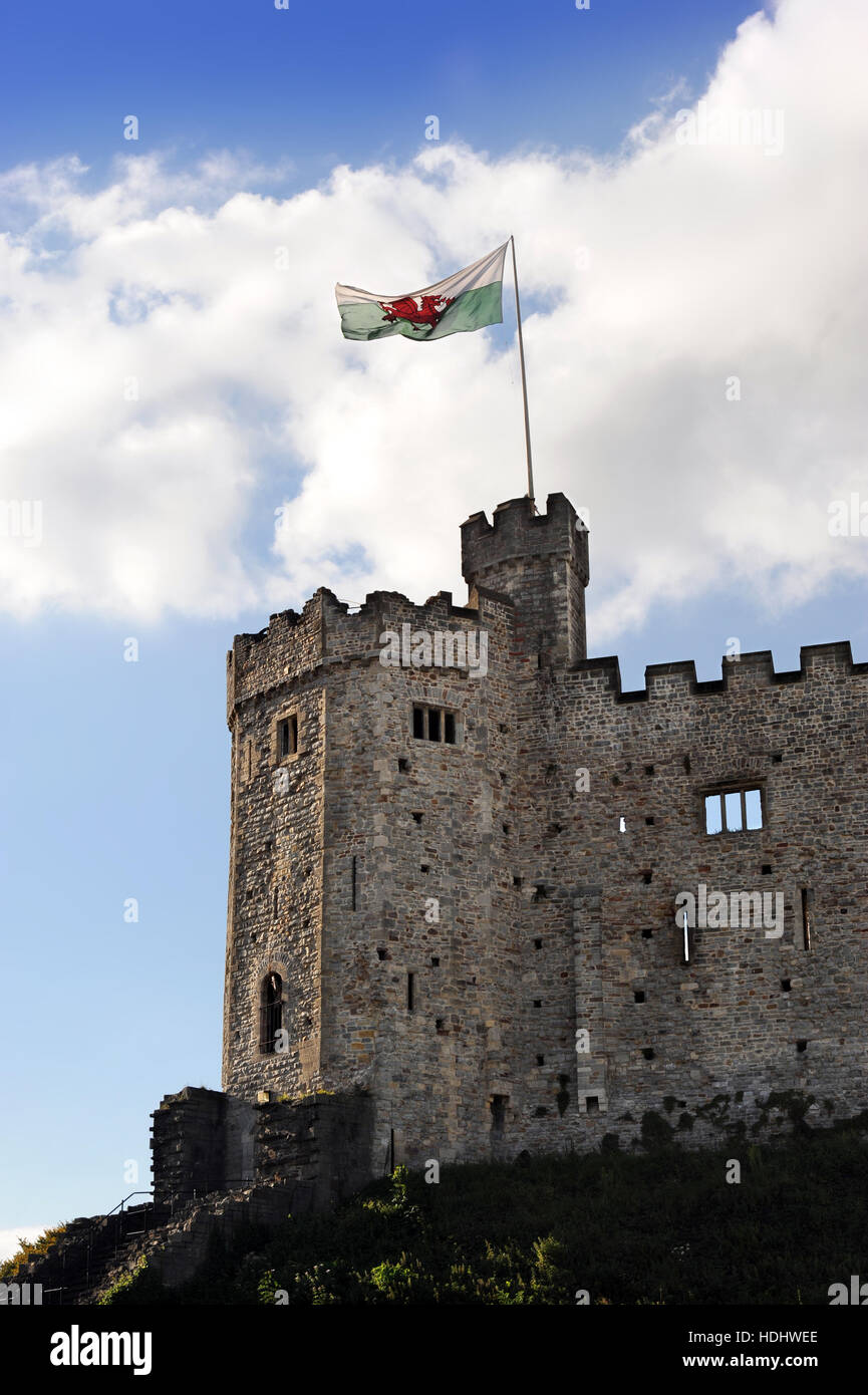 Welsh dragon flag hi-res stock photography and images - Alamy