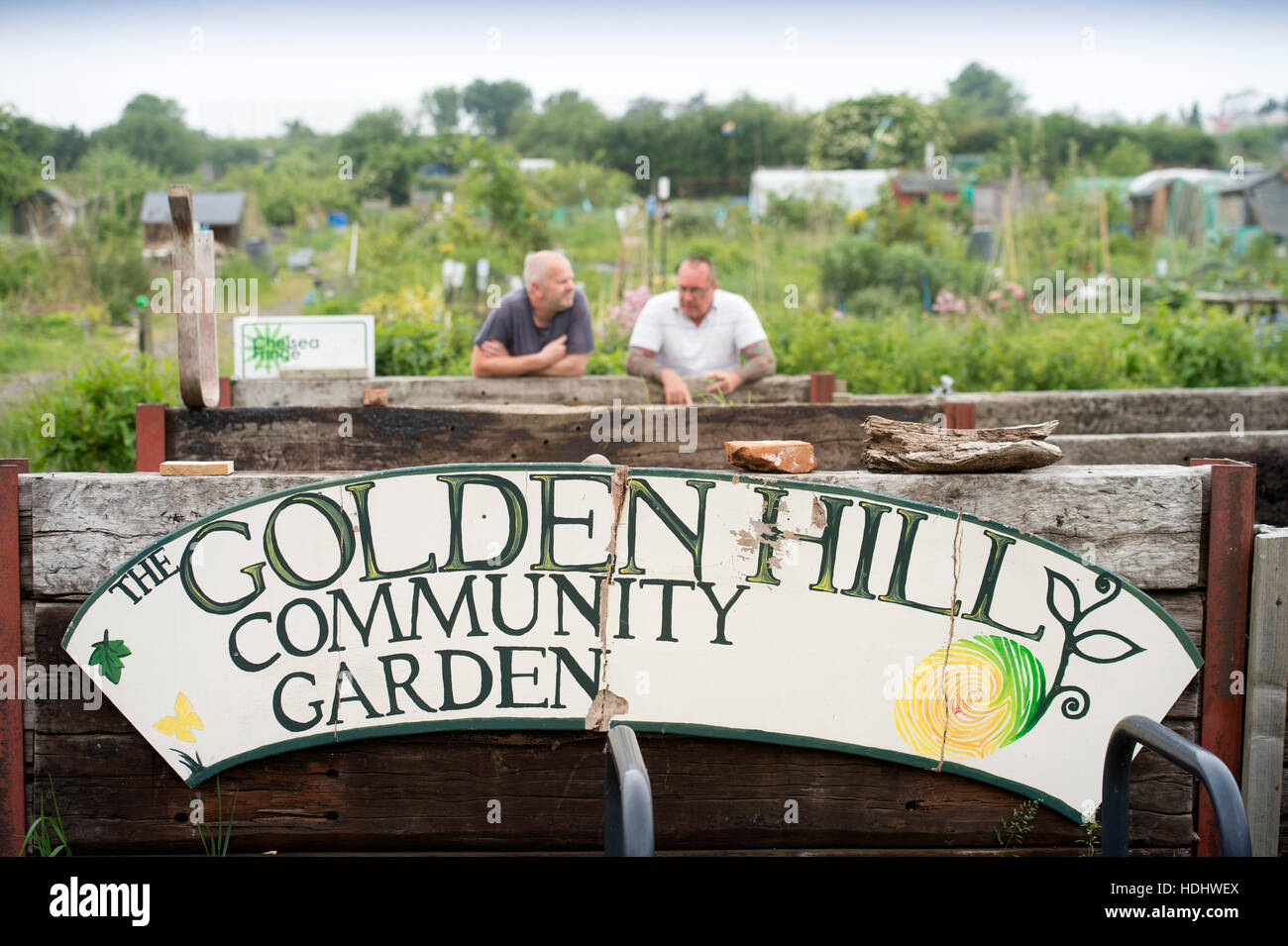 Community garden plots hi-res stock photography and images - Alamy