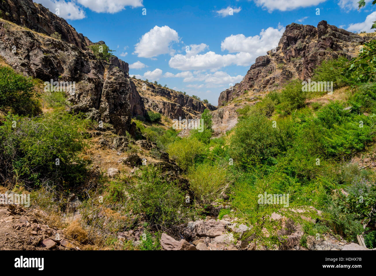 Turbat canyon and steppe, Kazakhstan Stock Photo - Alamy