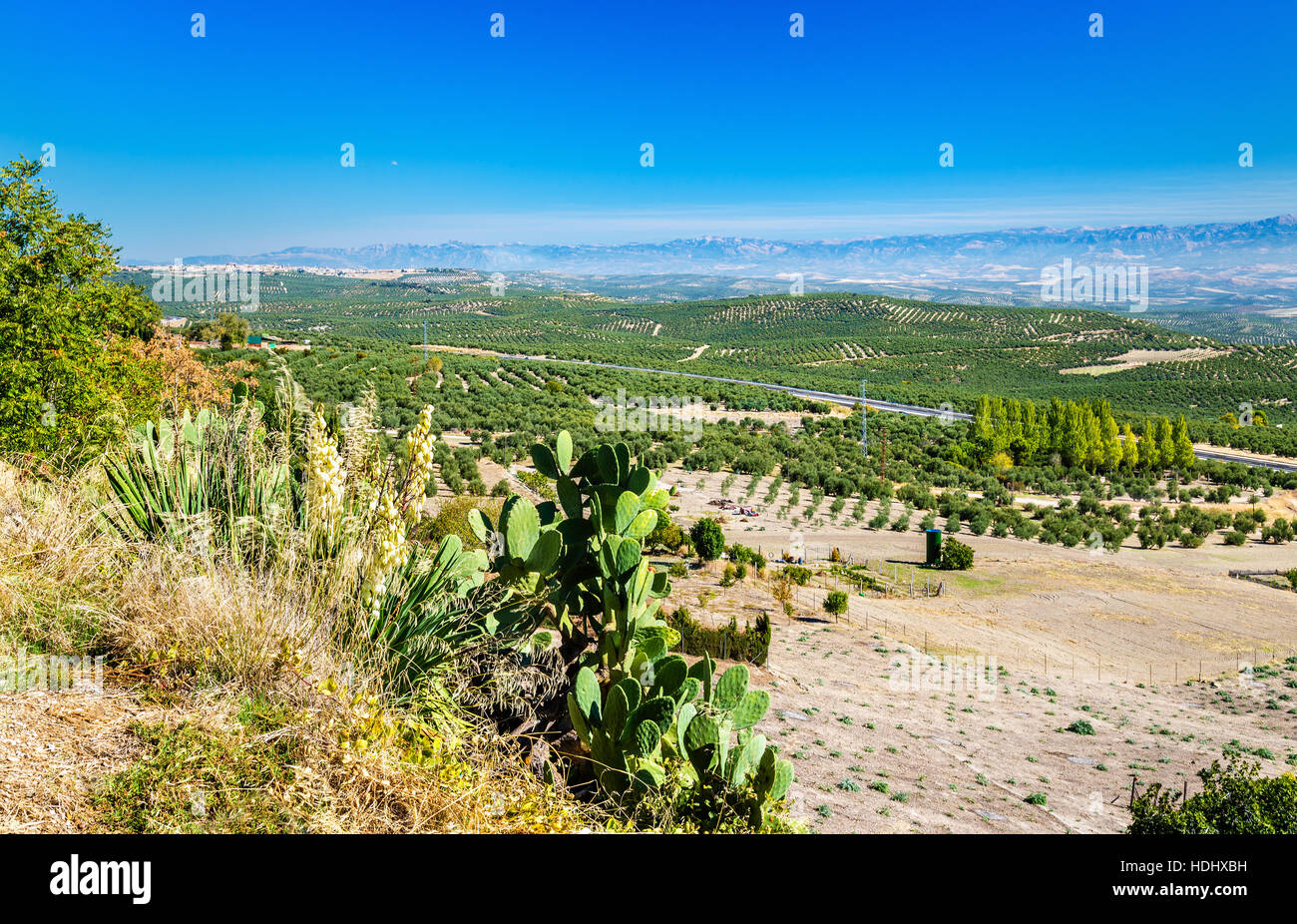 Andalusian landscape at Baeza, Spain Stock Photo - Alamy