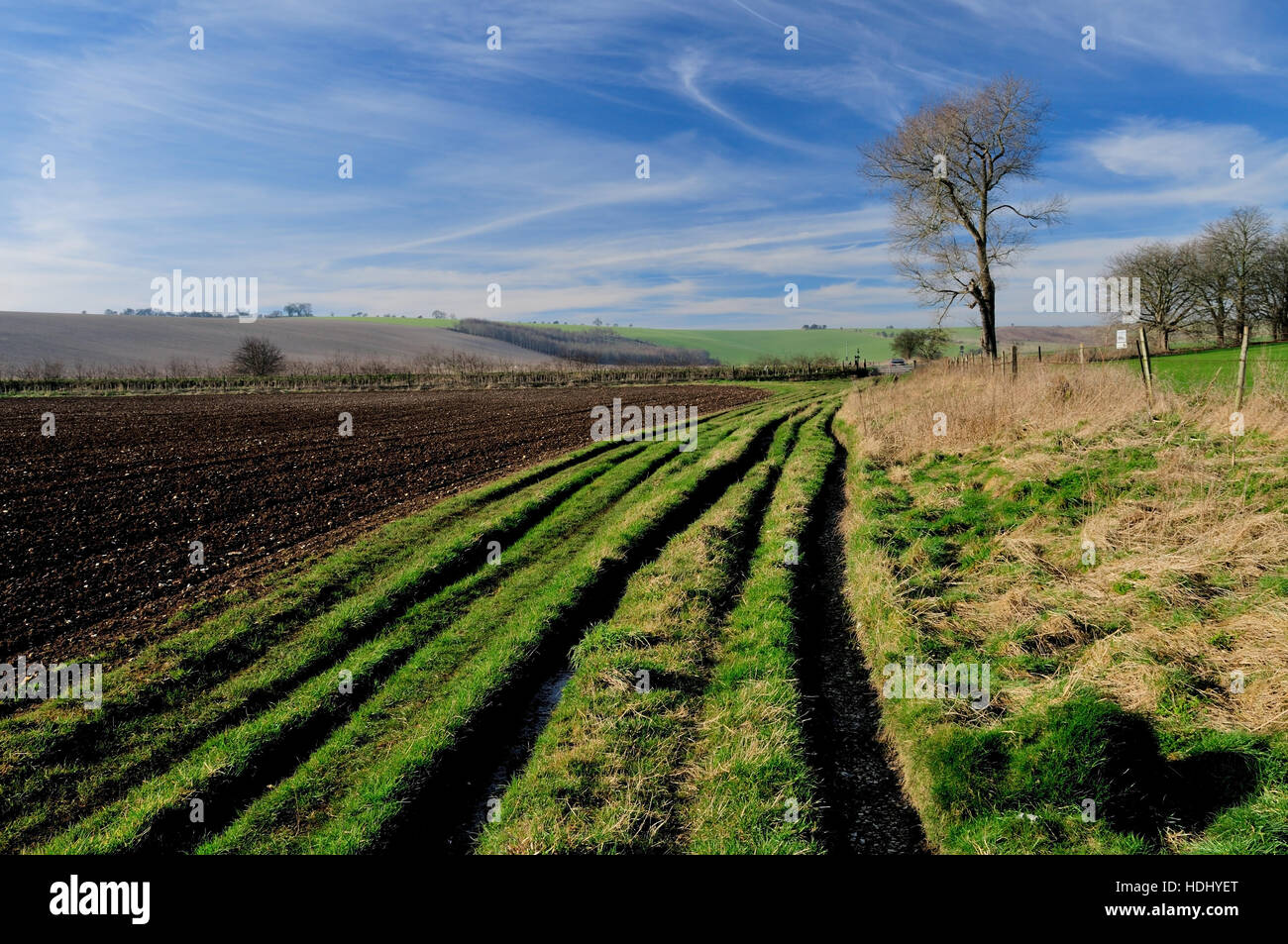 Rutted field hi-res stock photography and images - Alamy