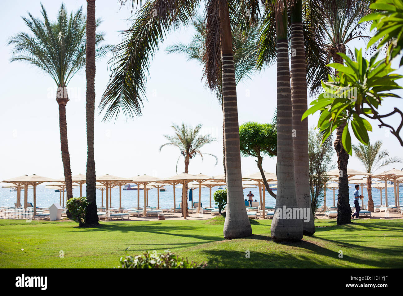 Red Sea shore, Sharm el Sheikh, Egypt Stock Photo - Alamy