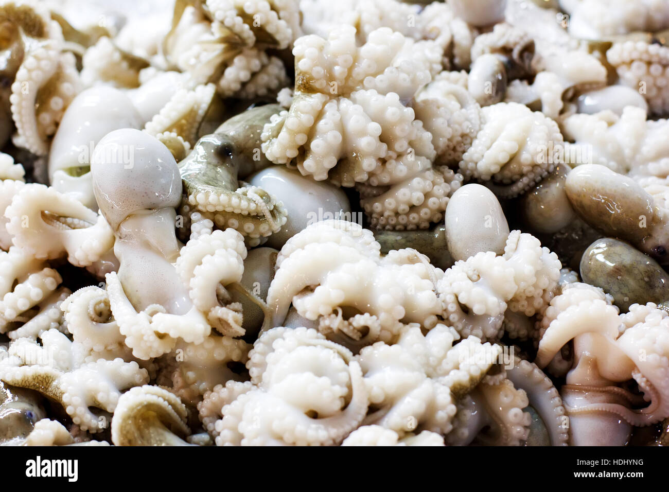 Small octopuses close-up, food background Stock Photo - Alamy