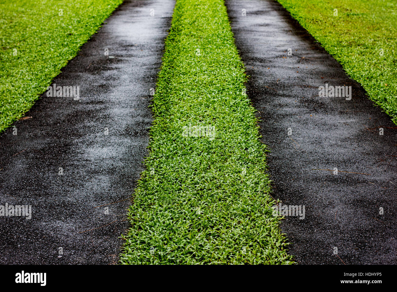 Asphalt road with green grass in center, two ways near concept Stock ...