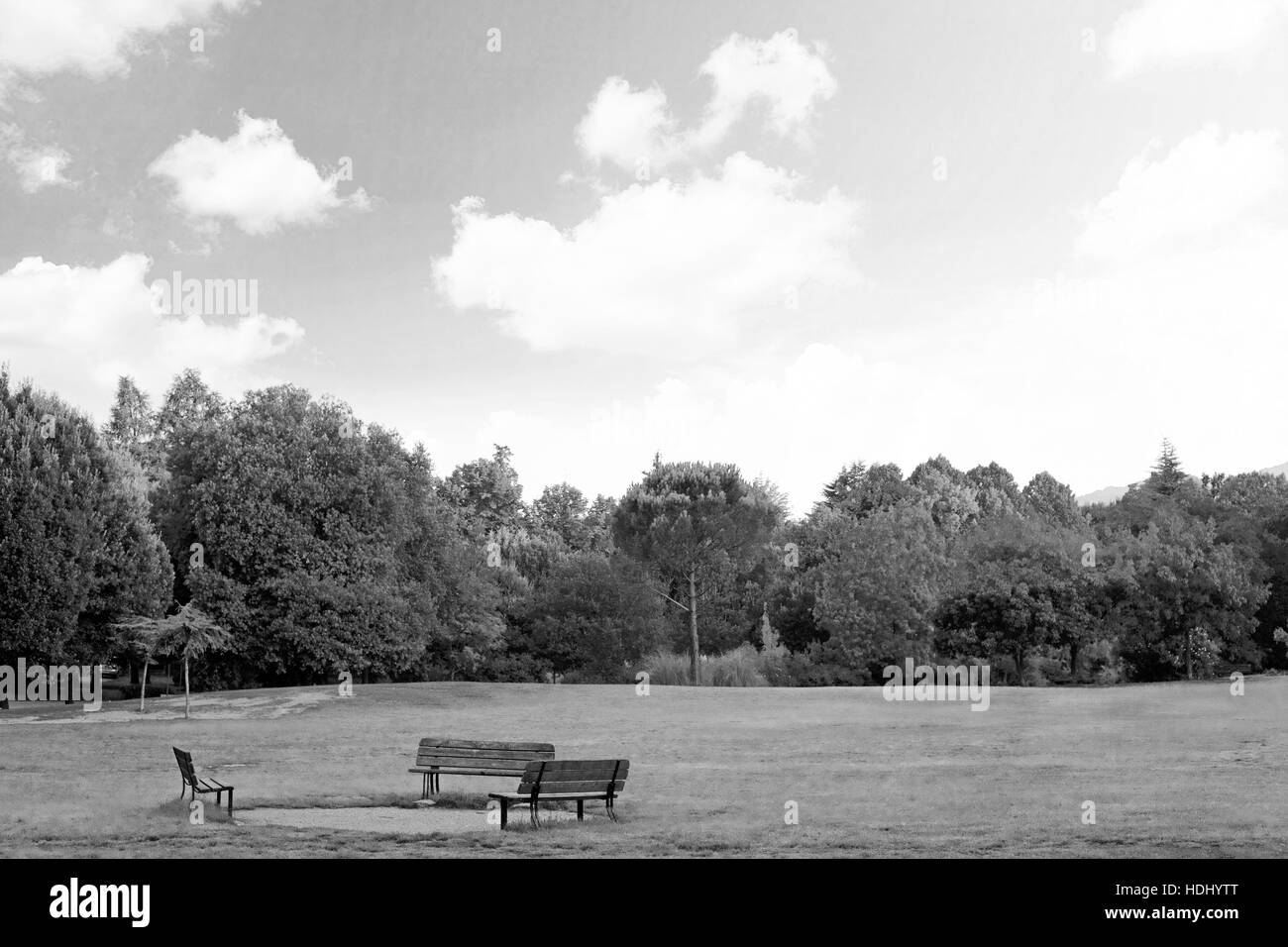 Bench in the greenery Black and White Stock Photos & Images - Alamy