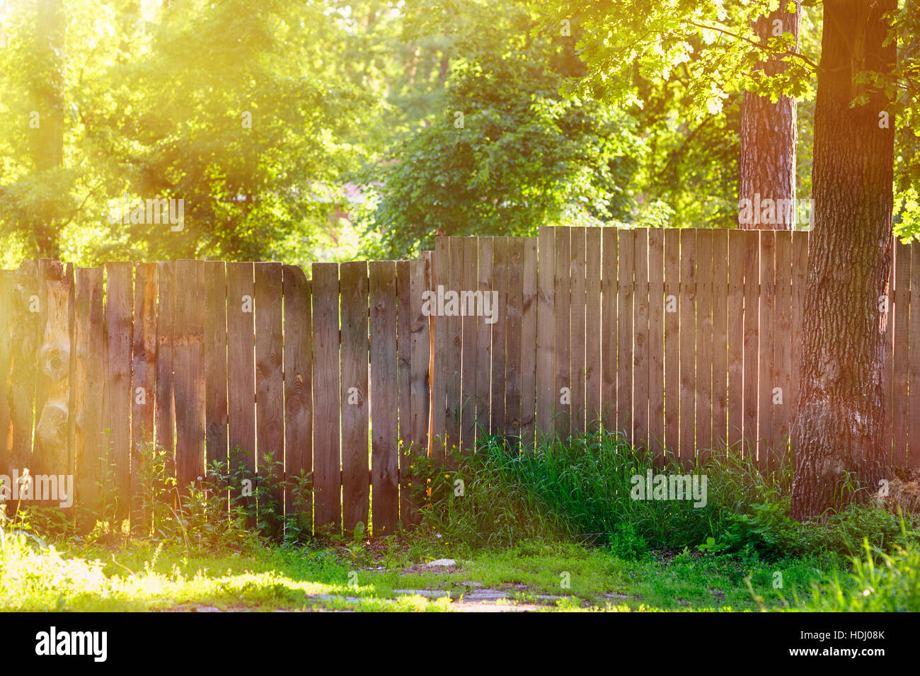 Summer summer sun hi-res stock photography and images - Alamy
