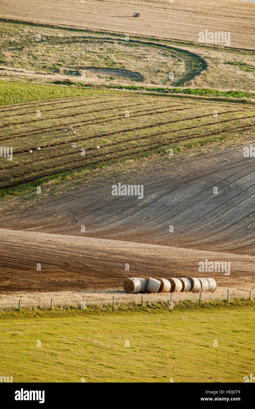 Autumn morning in South Downs National Park, East Sussex, England Stock ...