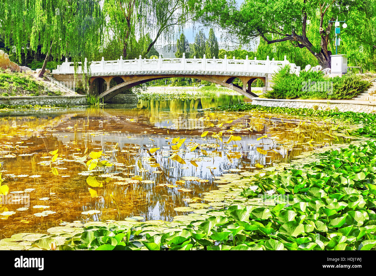 Typical Chinese garden, park . Beijing, China Stock Photo - Alamy